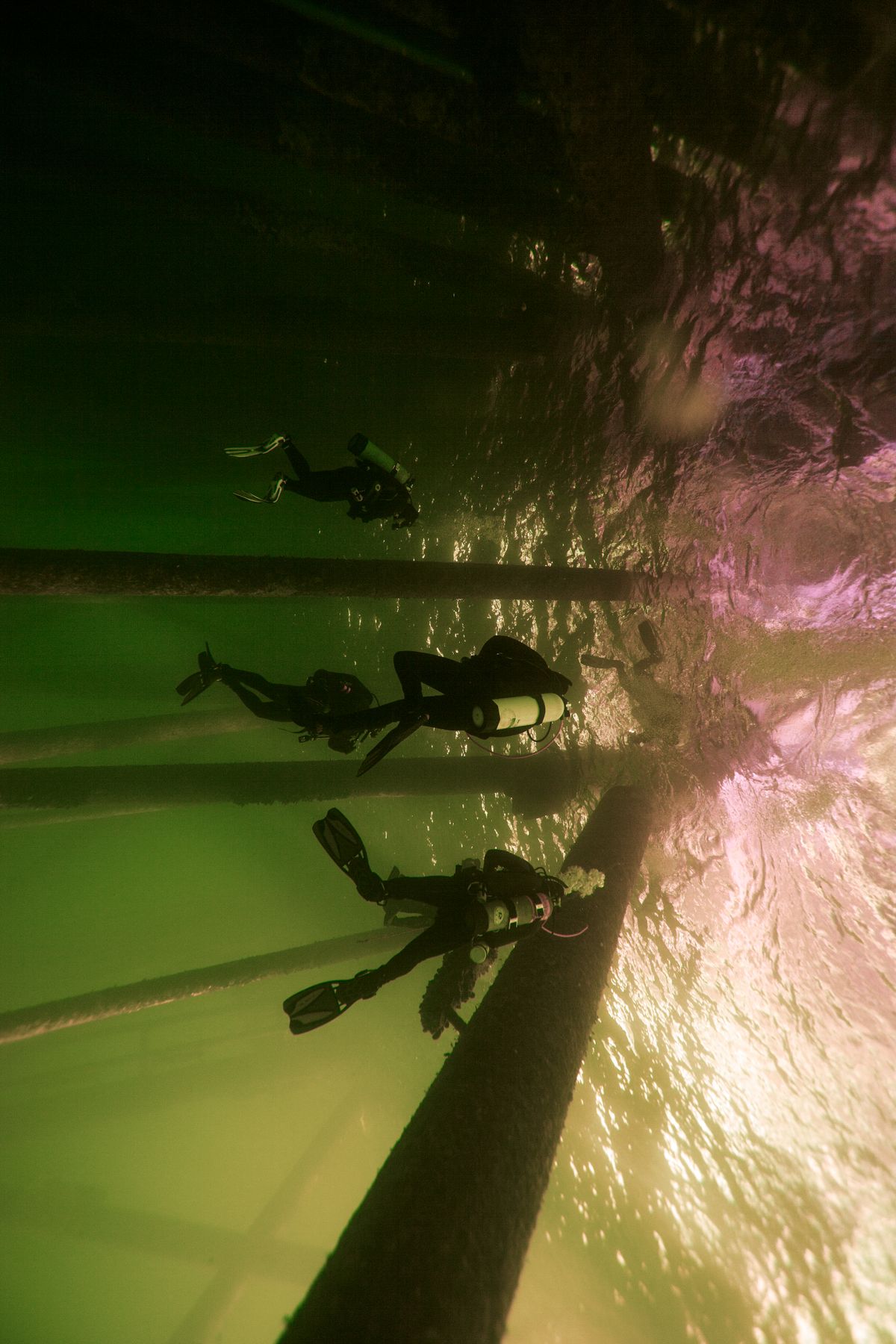 Underwater Team Photos, Download The BEST Free Underwater Team Stock ...