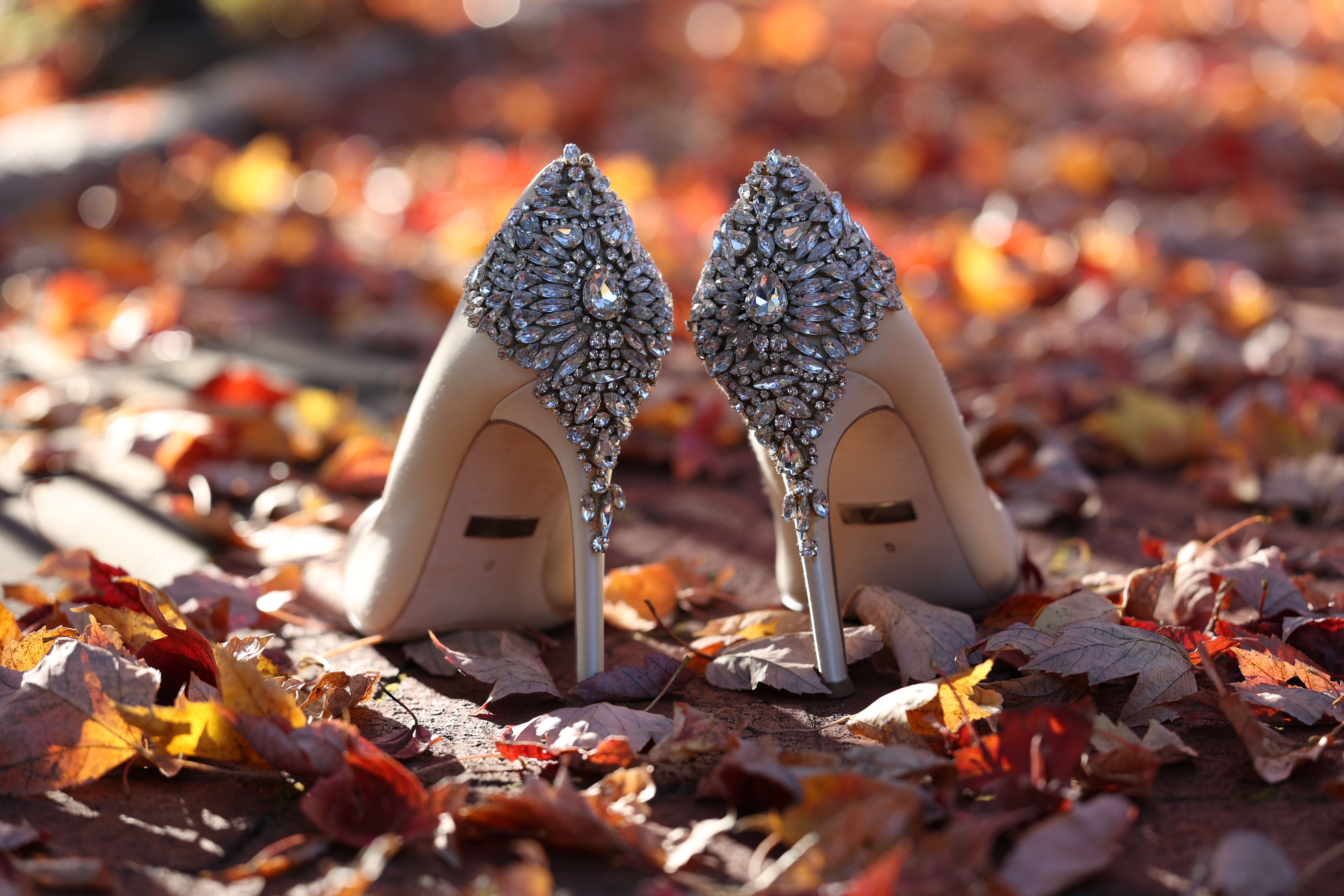 Elegant jeweled high heels on autumn leaves · Free Stock Photo