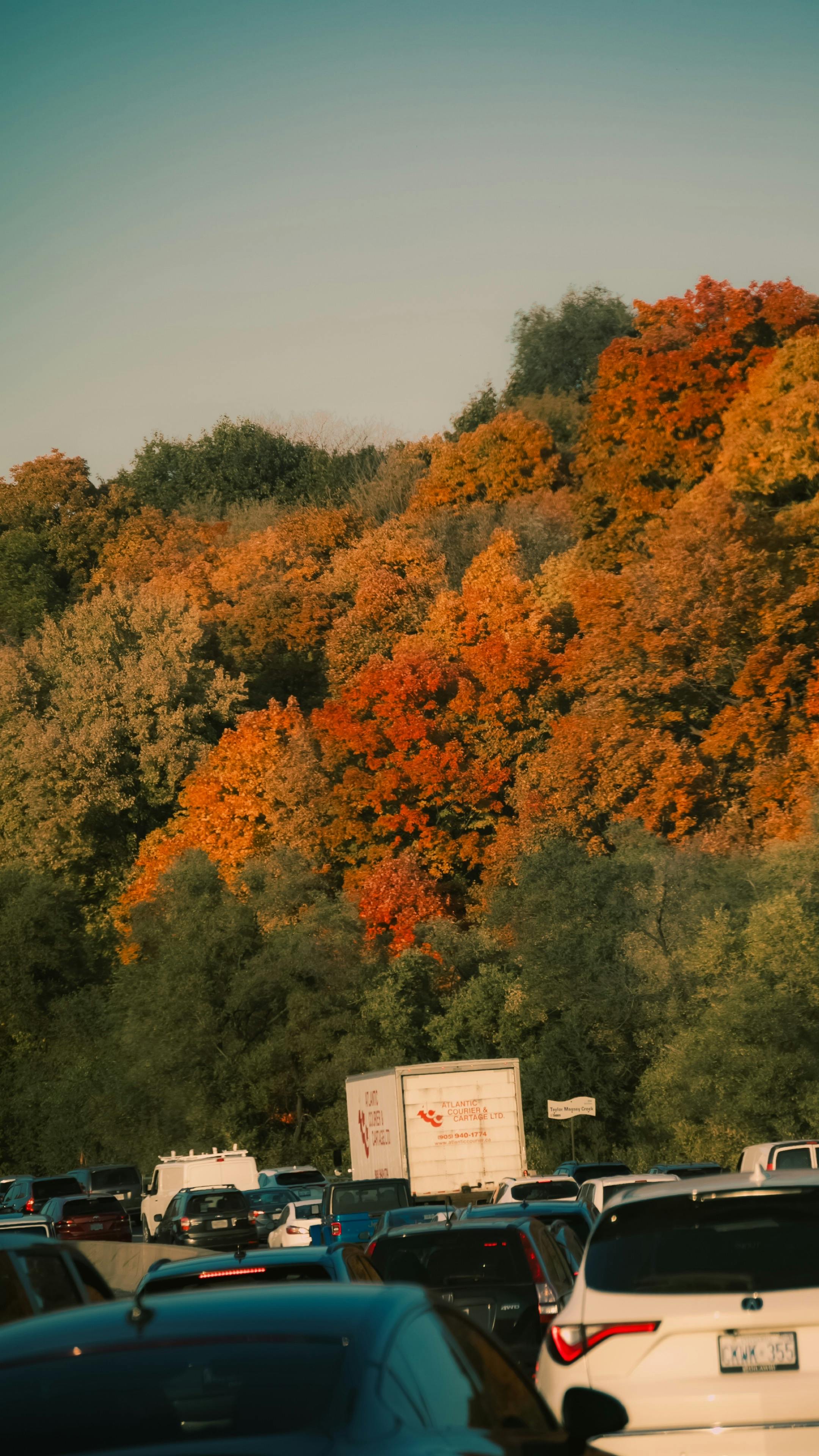 Autumn Traffic on Toronto Highway DVP · Free Stock Photo