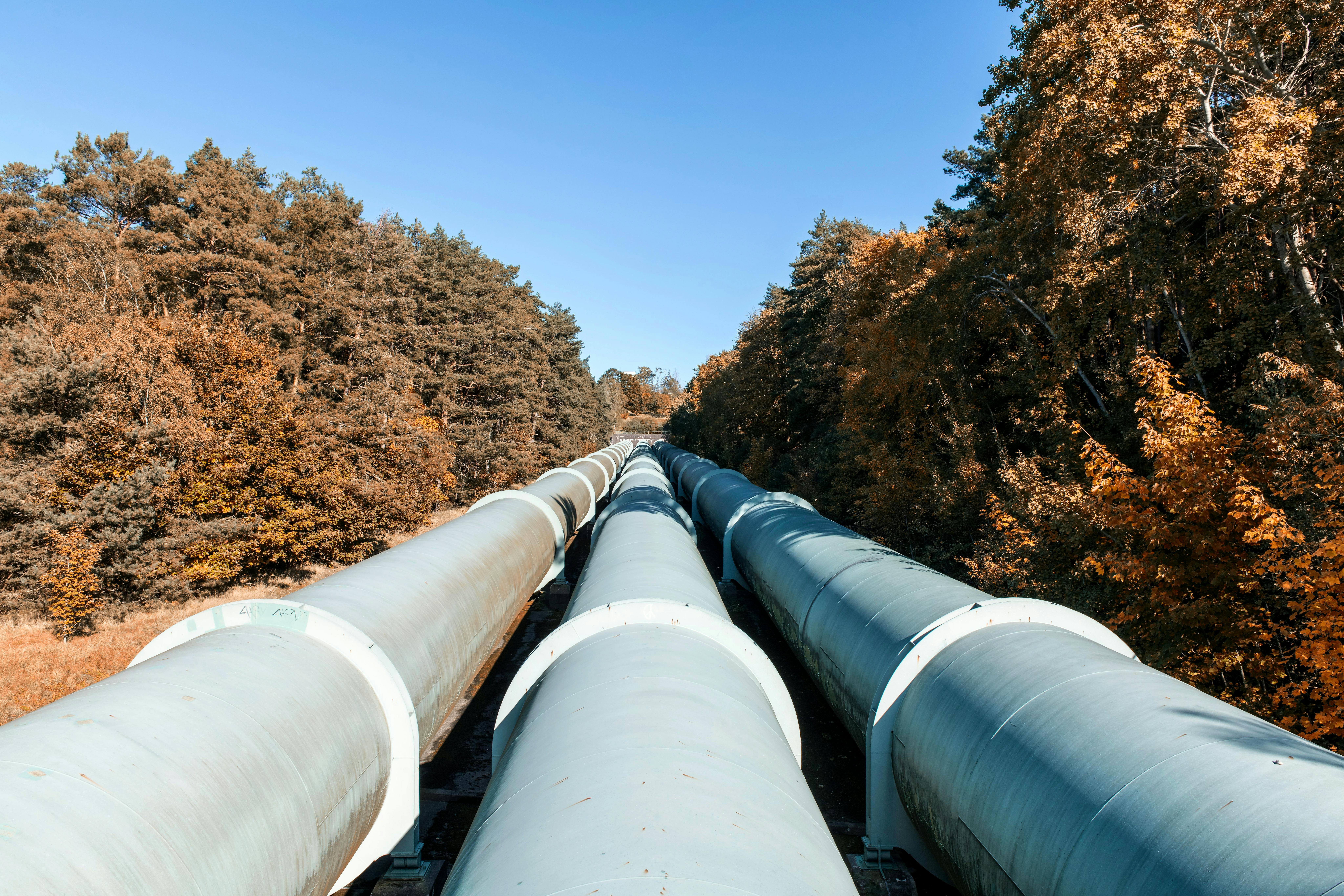 Sustainable Pipelines in Autumn Forest Landscape · Free Stock Photo
