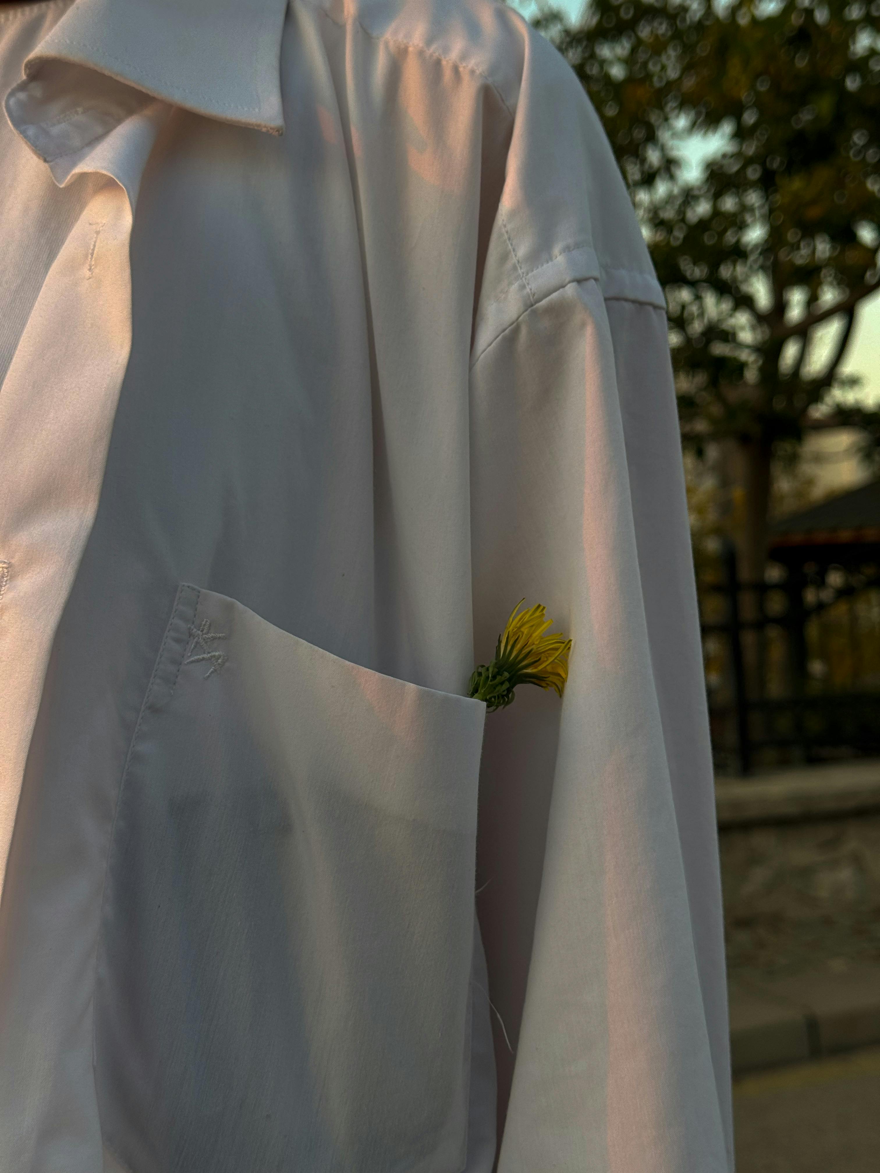 Hint Sets Photos, Download The BEST Free Hint Sets Stock Photos & HD Images