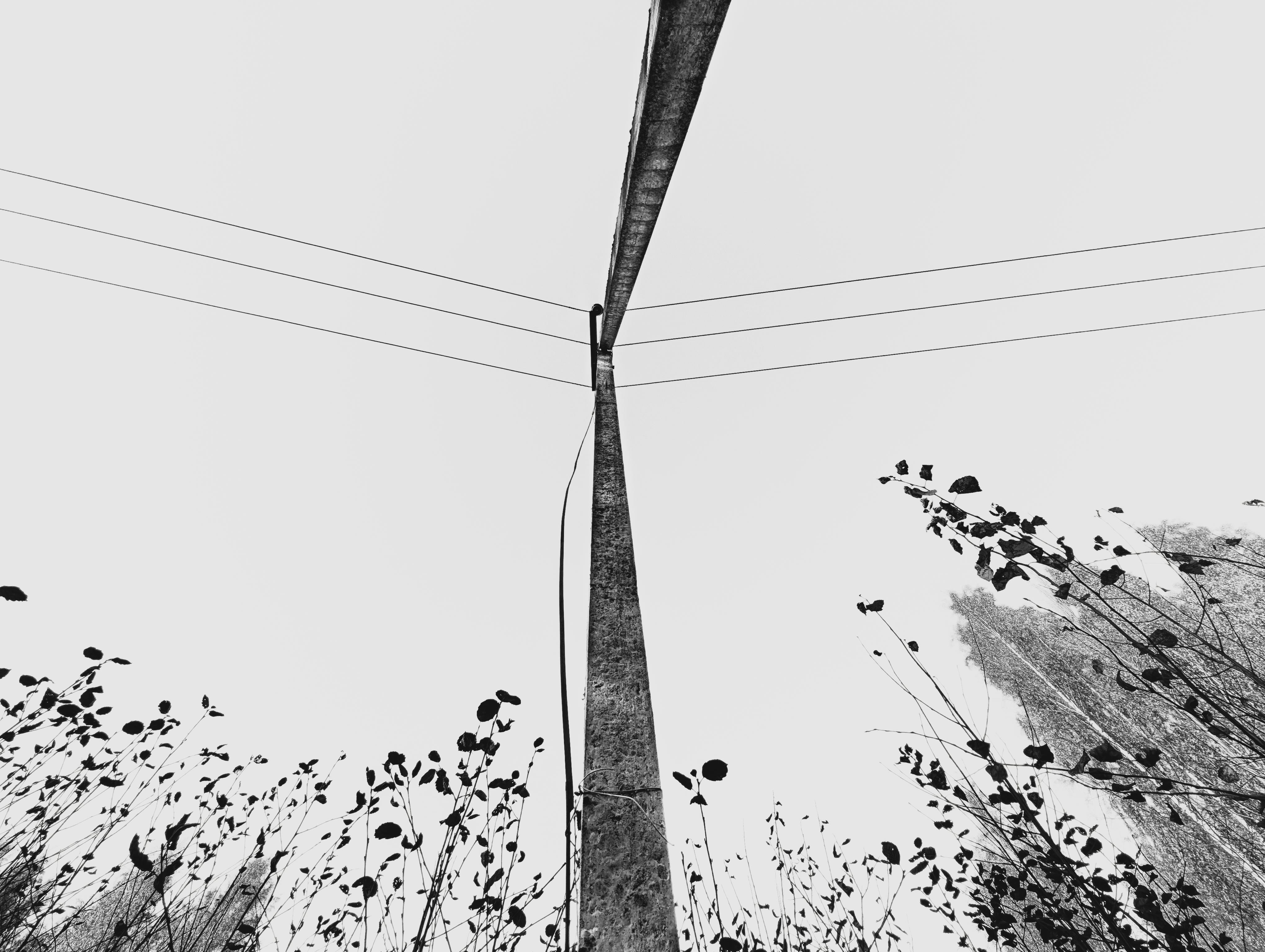 Visual Static Photos, Download The BEST Free Visual Static Stock Photos ...