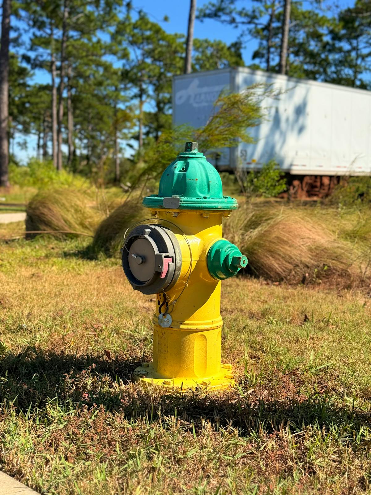 Fire Hydrant Photos, Download The BEST Free Fire Hydrant Stock Photos ...