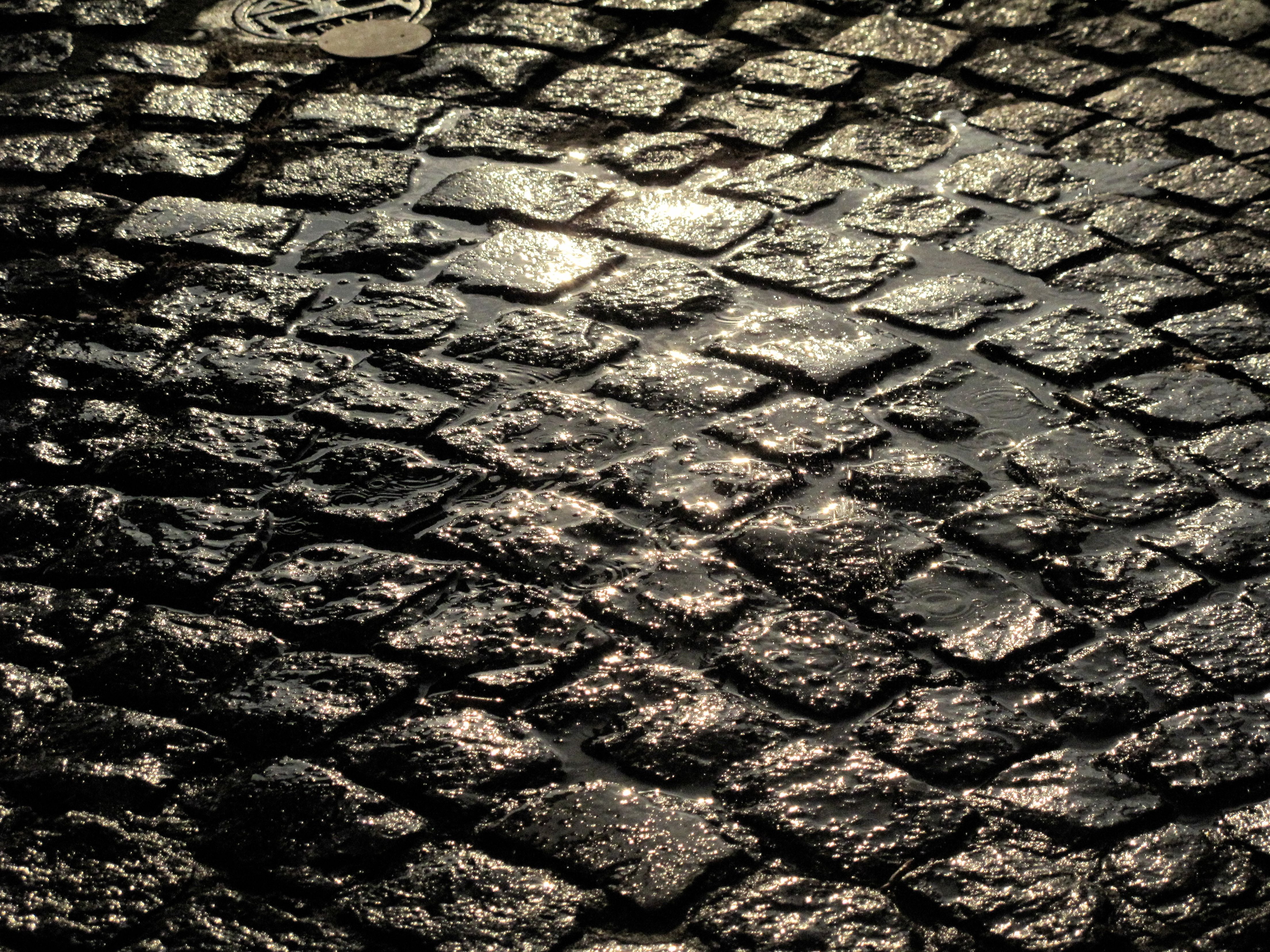 Cobblestone Wet after Rain · Free Stock Photo