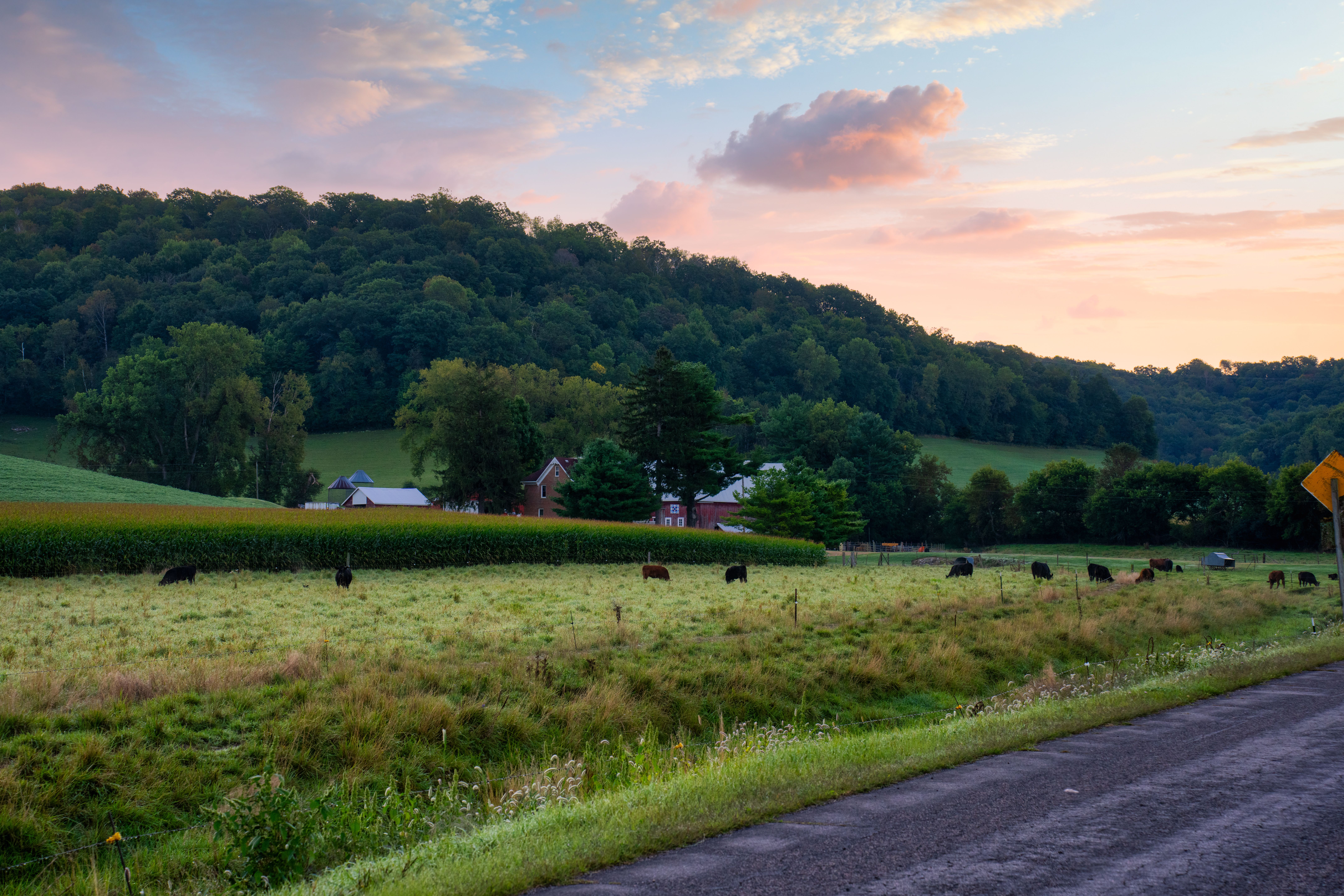 Scenic Rural Landscape in Urne, Wisconsin · Free Stock Photo