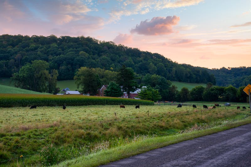 Wisconsin Farm Photos, Download The BEST Free Wisconsin Farm Stock ...
