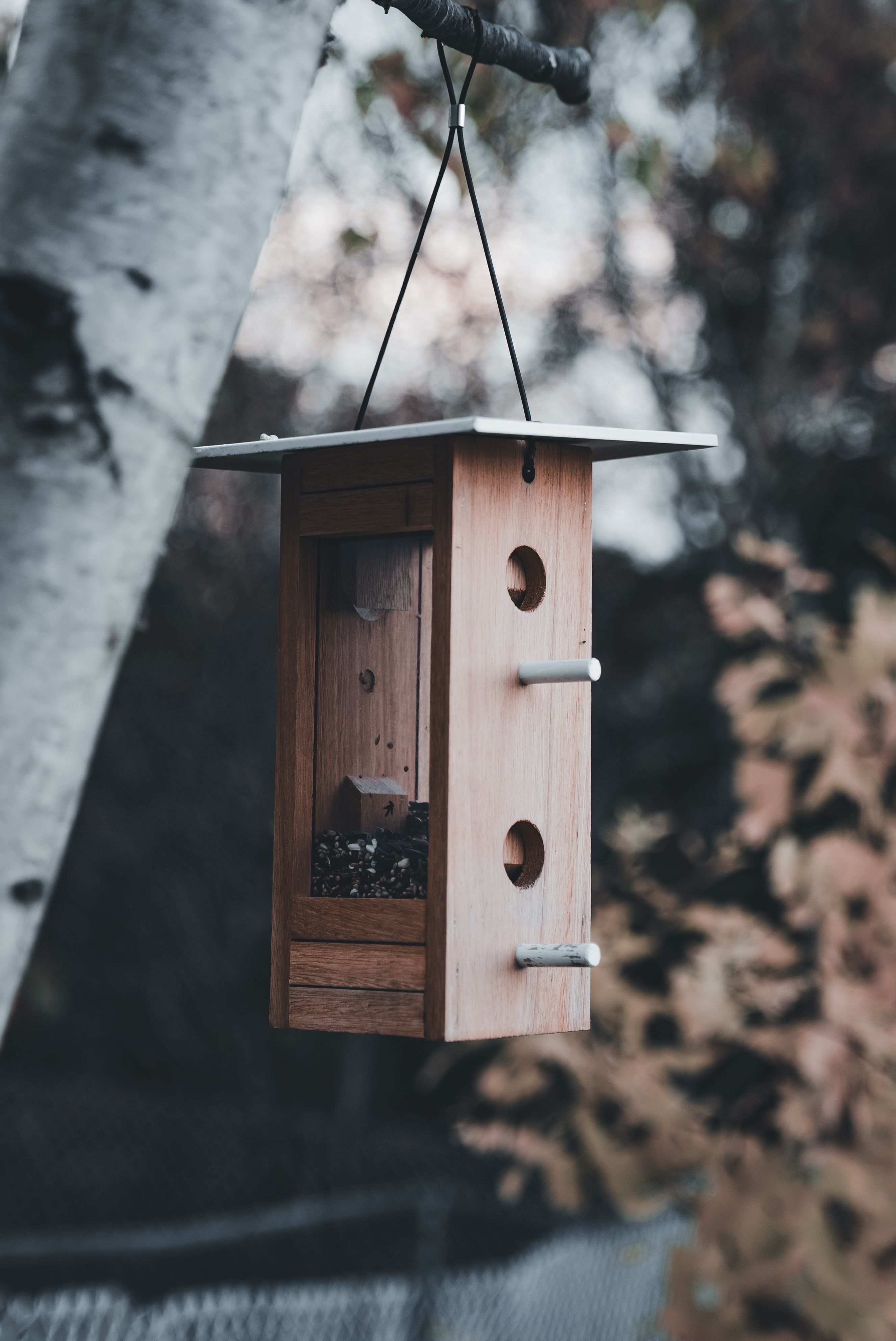 Rustic Wooden Bird Feeder in Autumn Setting · Free Stock Photo