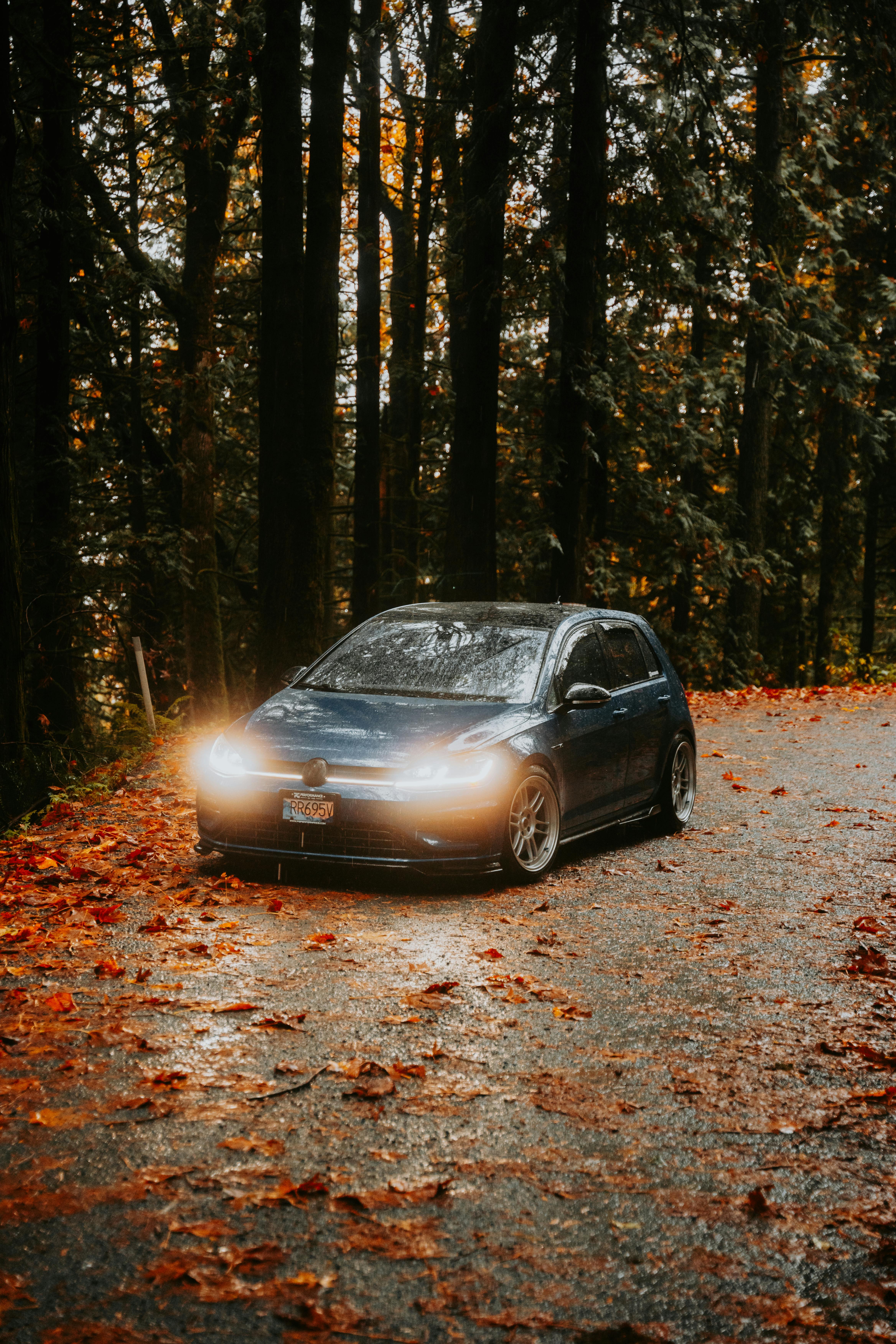Car driving through autumn forest road · Free Stock Photo