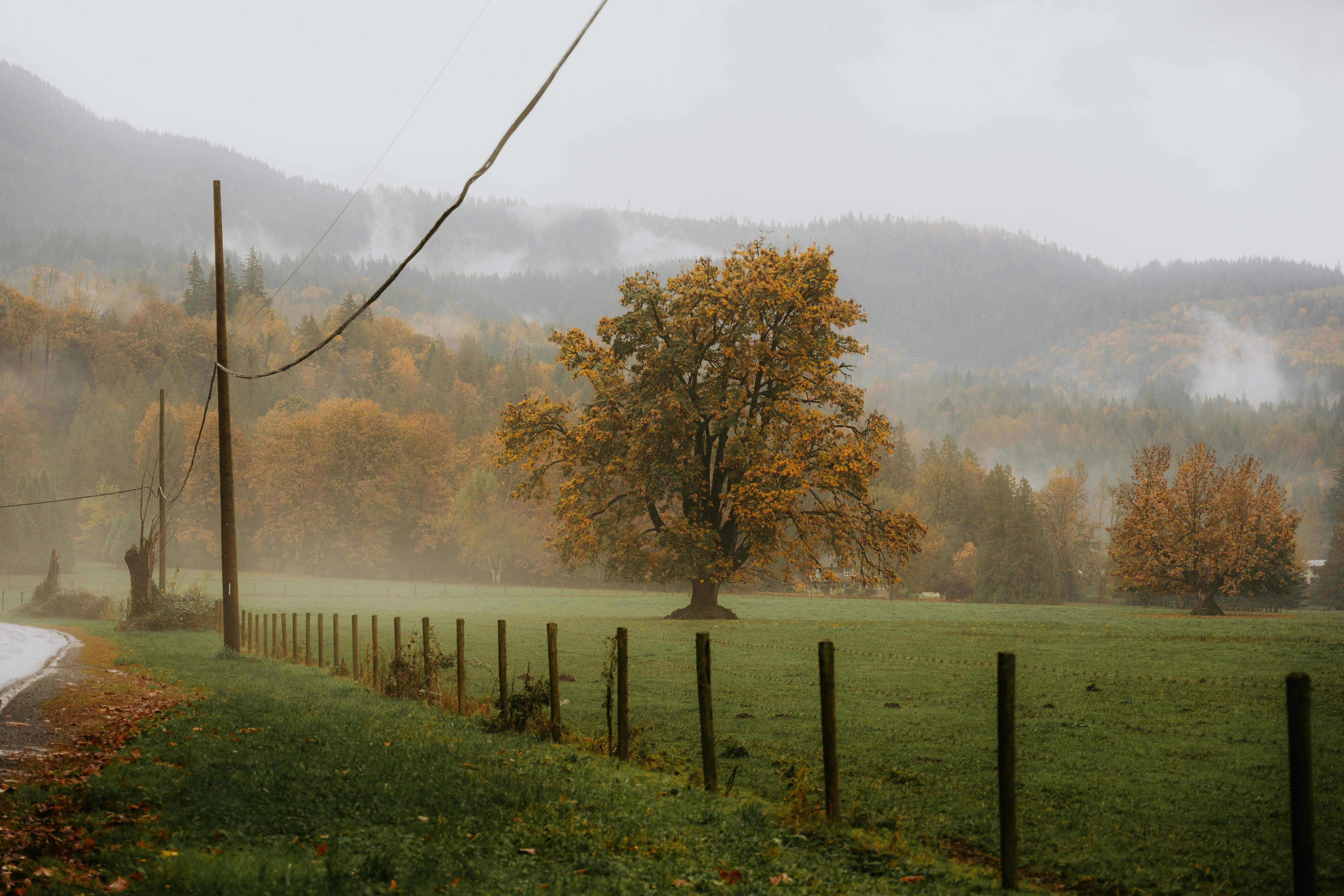 Misty Autumn Countryside Landscape · Free Stock Photo