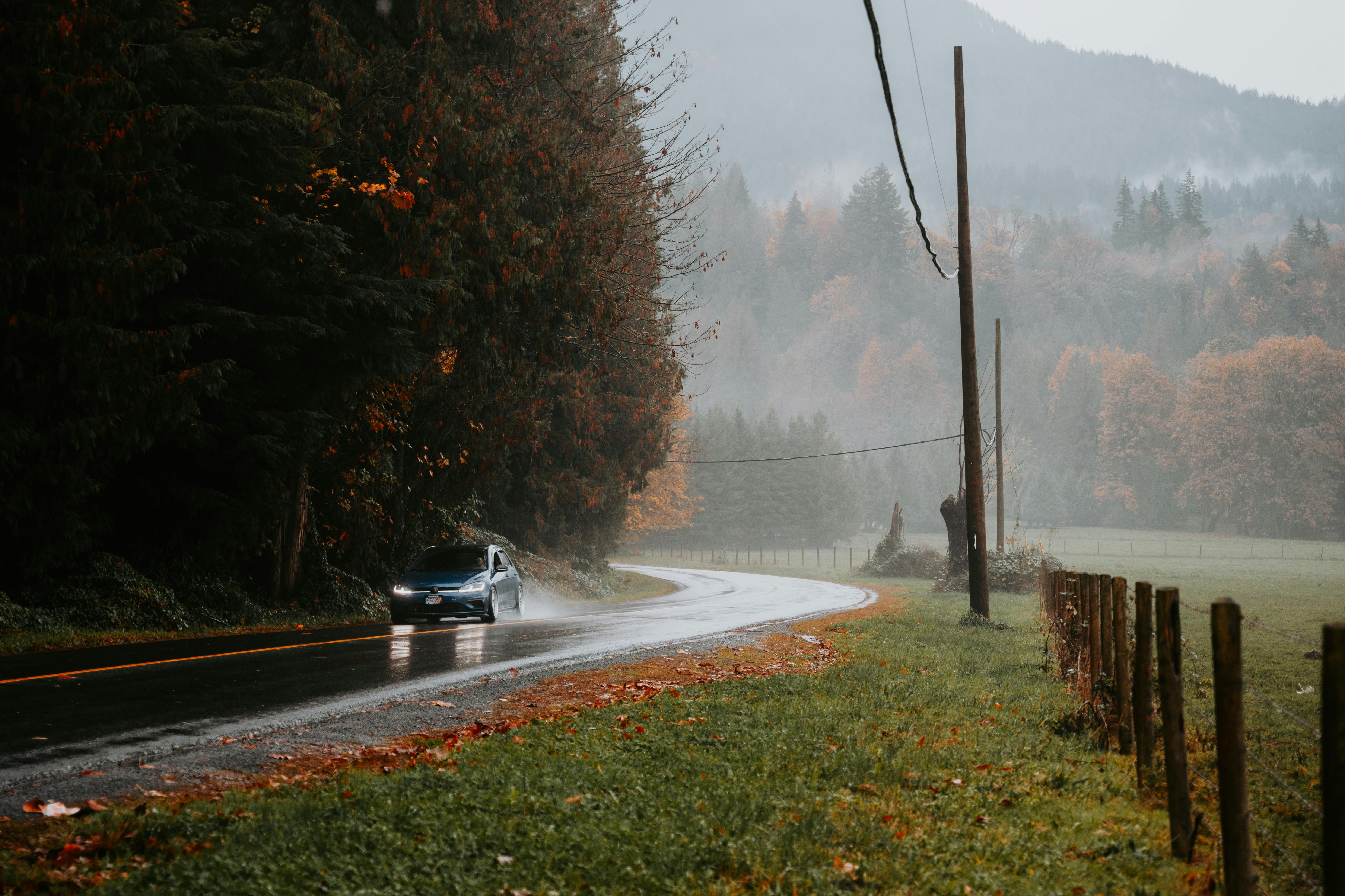 Serene Autumn Drive Through Misty Forest · Free Stock Photo