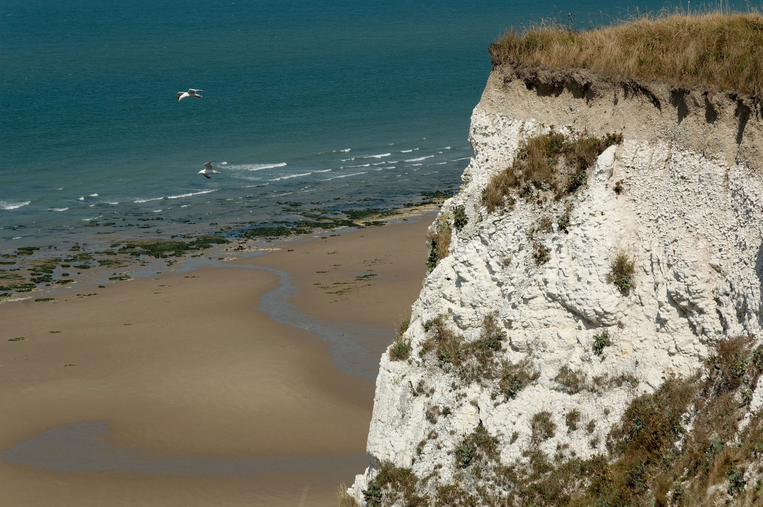 Cliff at Beach · Free Stock Photo