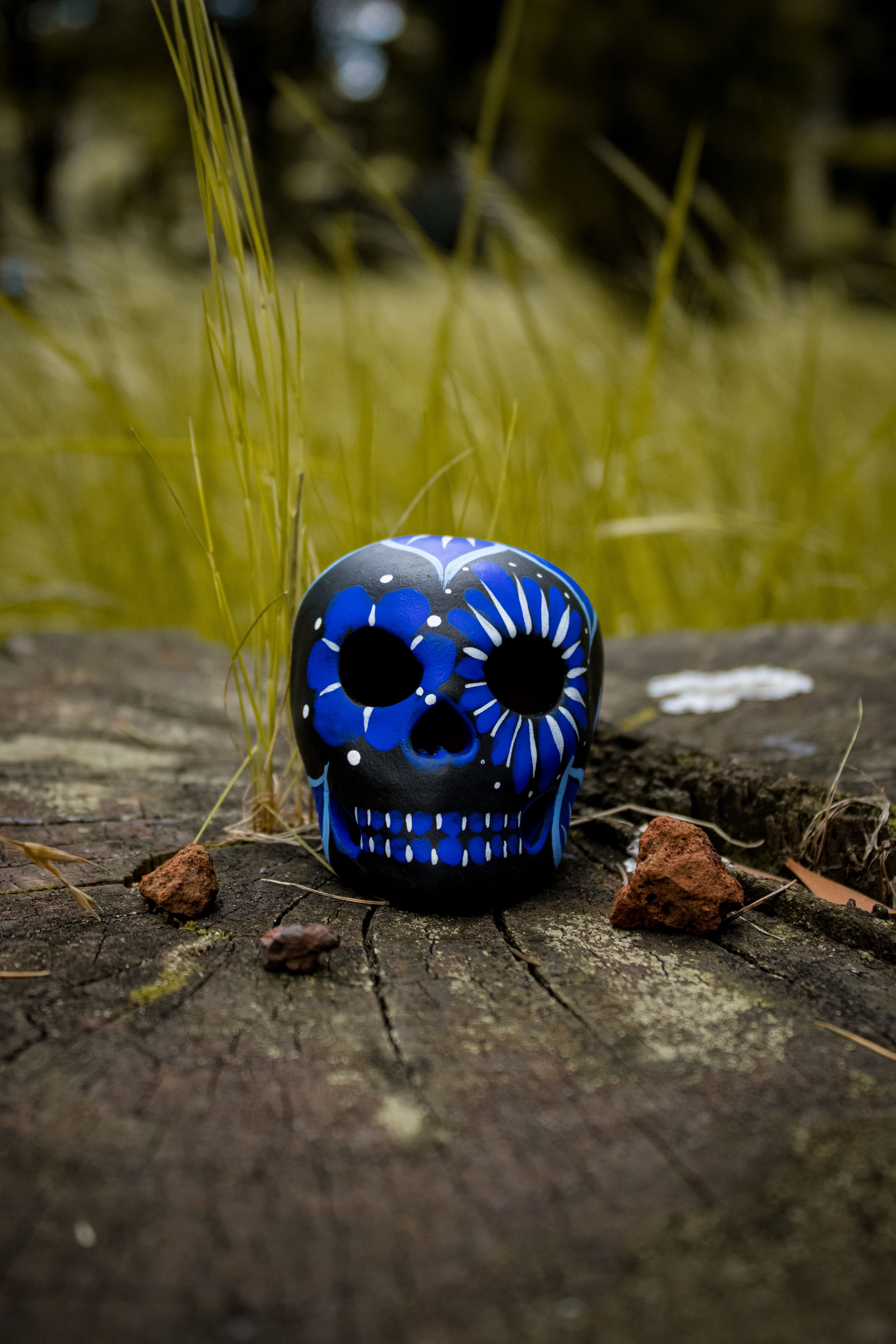 Vibrant Blue Calavera on Rustic Stump · Free Stock Photo
