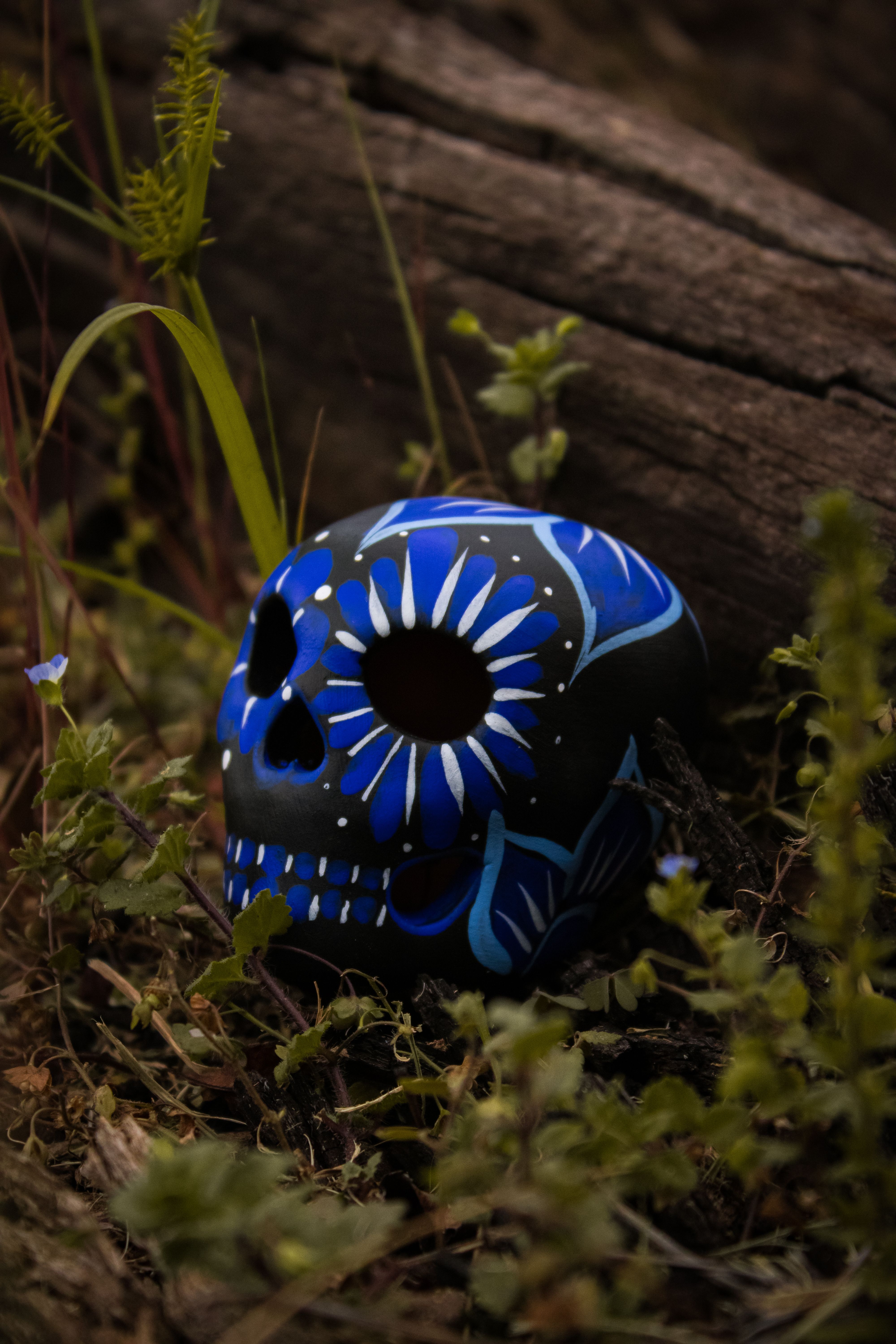 Blue Decorated Skull Amongst Autumn Leaves · Free Stock Photo
