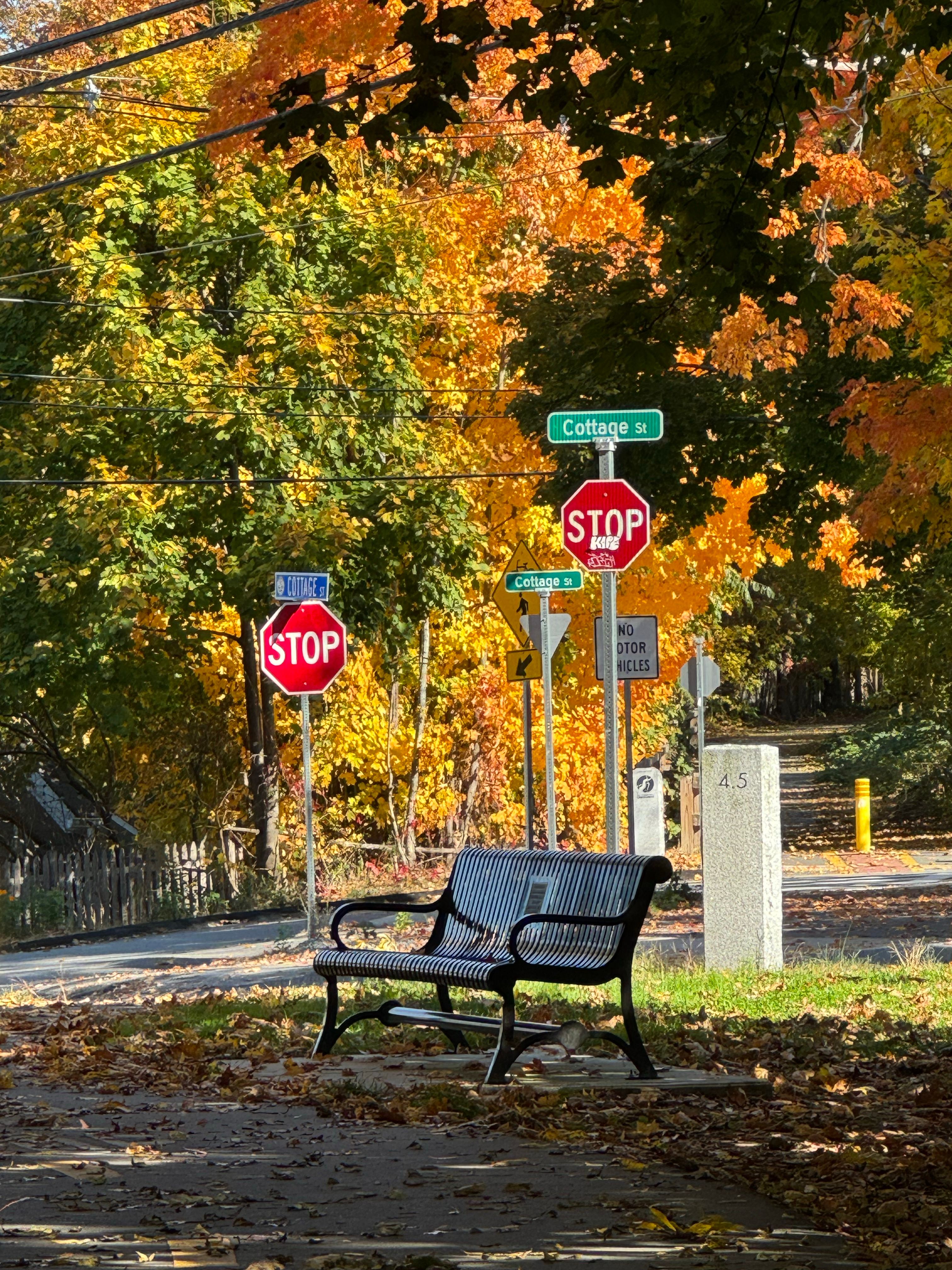 Stop Signs Photos, Download The BEST Free Stop Signs Stock Photos & HD ...