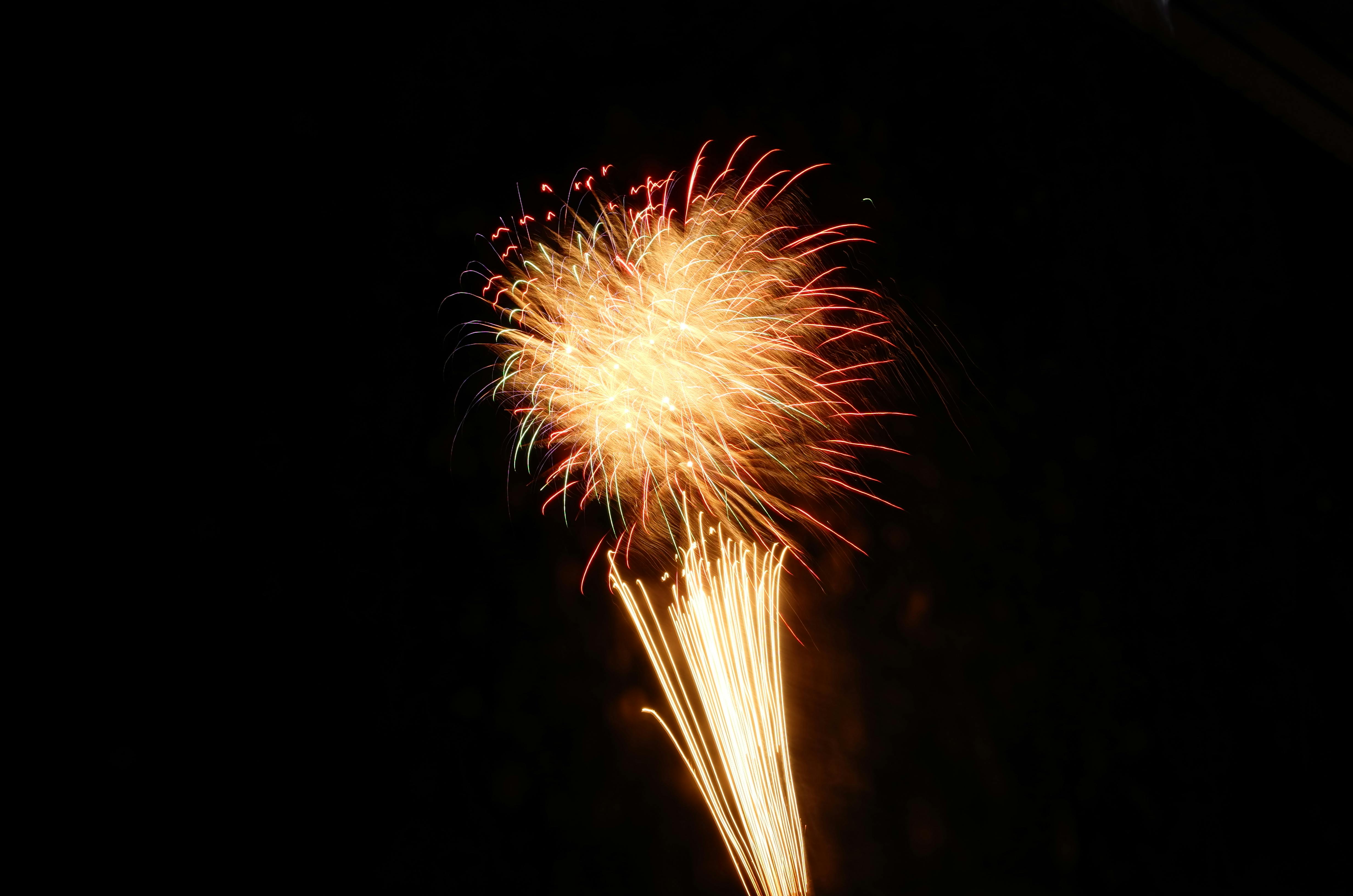 Blue and Red Brocade Fireworks at Night · Free Stock Photo