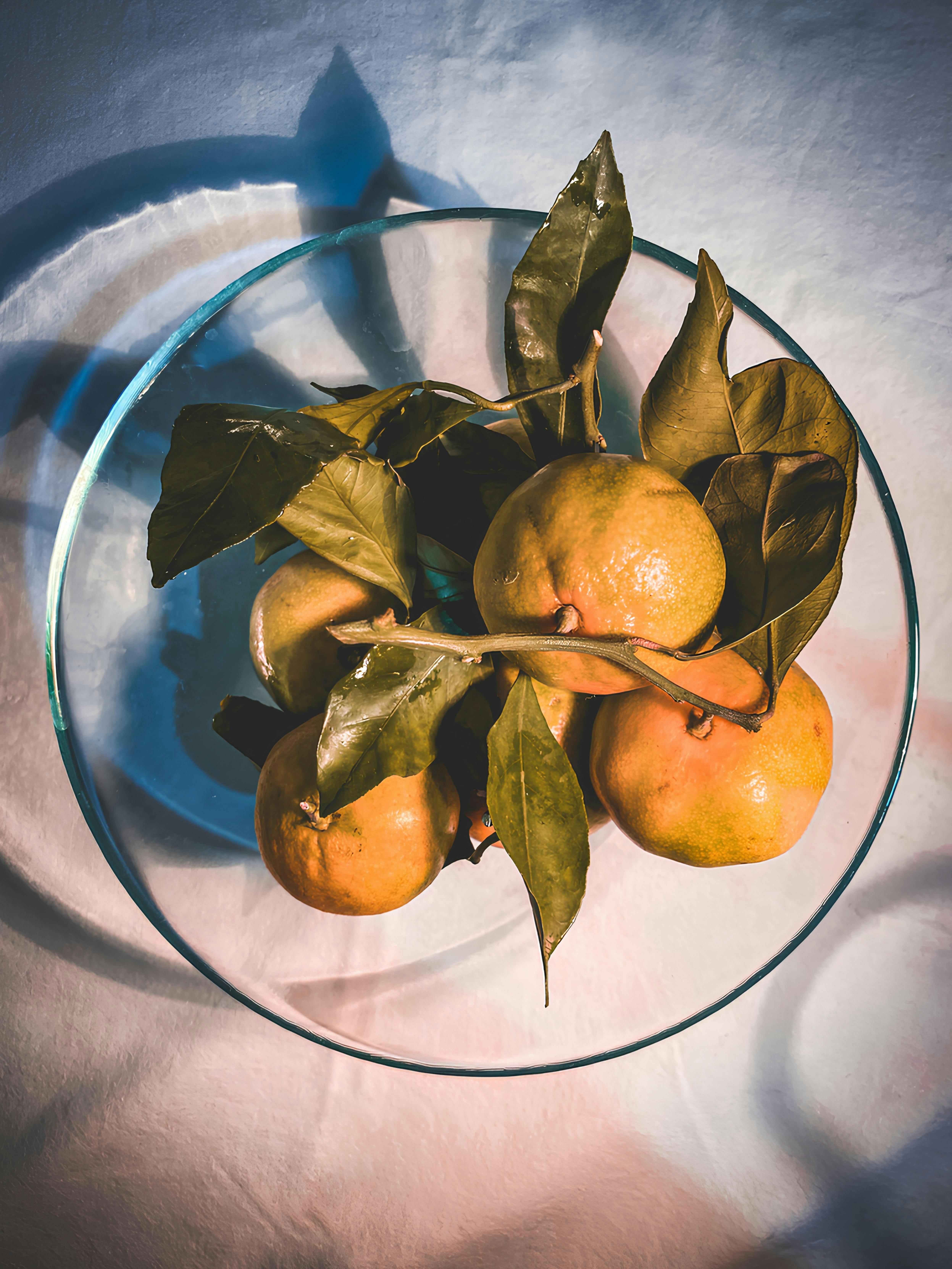 Tangerine Roots Photos, Download The BEST Free Tangerine Roots Stock ...