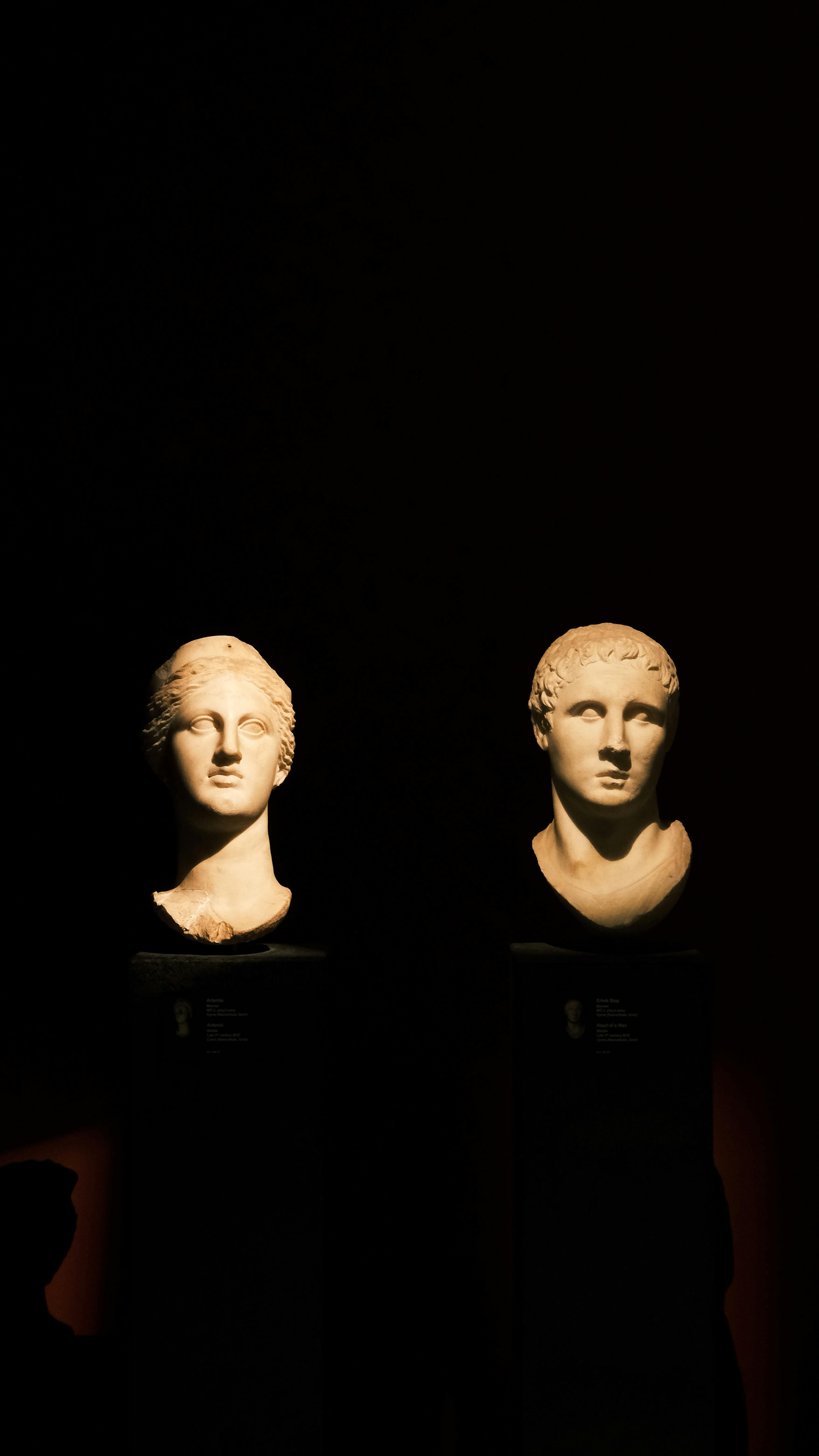 Classic Roman Busts in Dramatic Lighting · Free Stock Photo