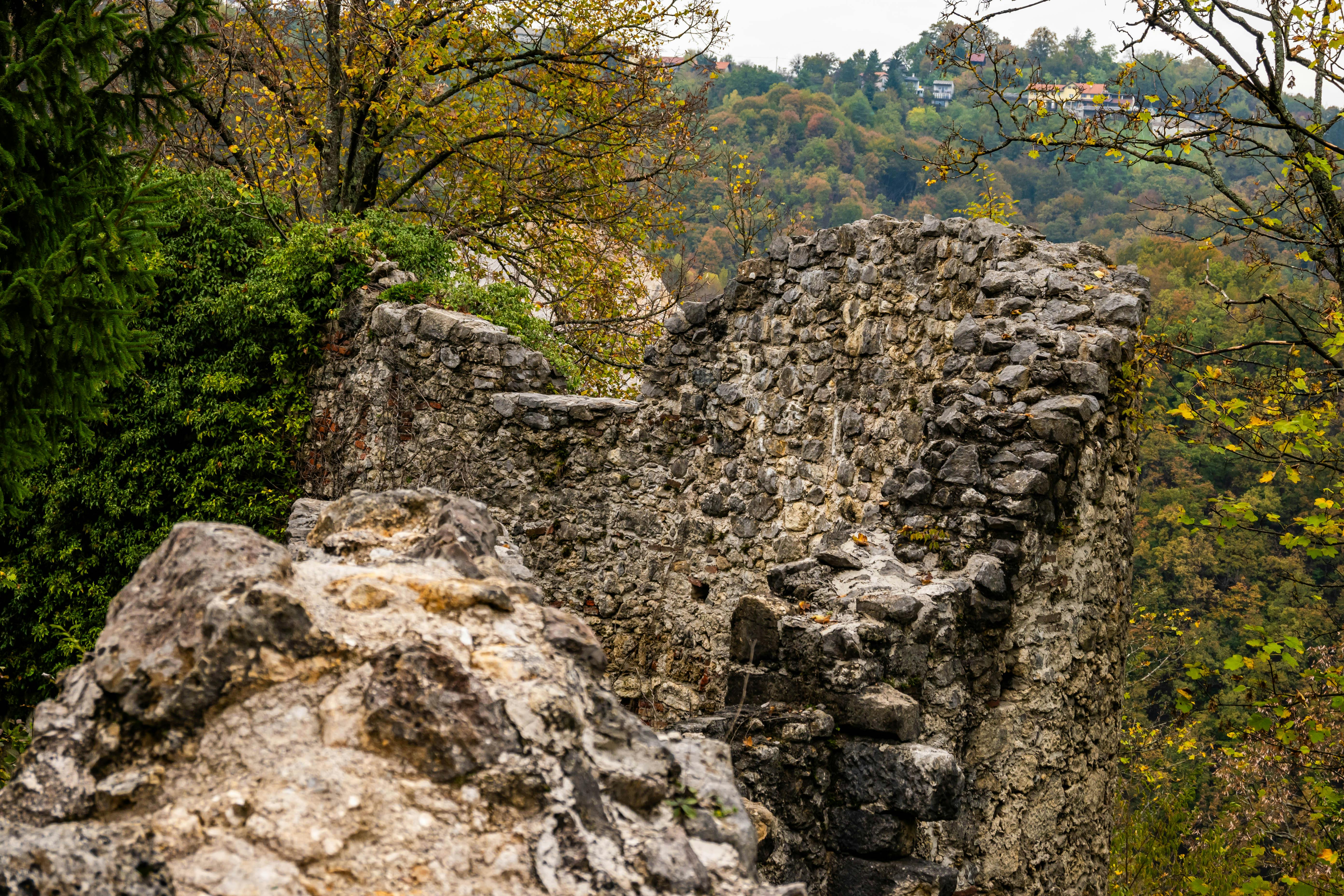 Ancient Ruins in Forested Samobor, Croatia · Free Stock Photo