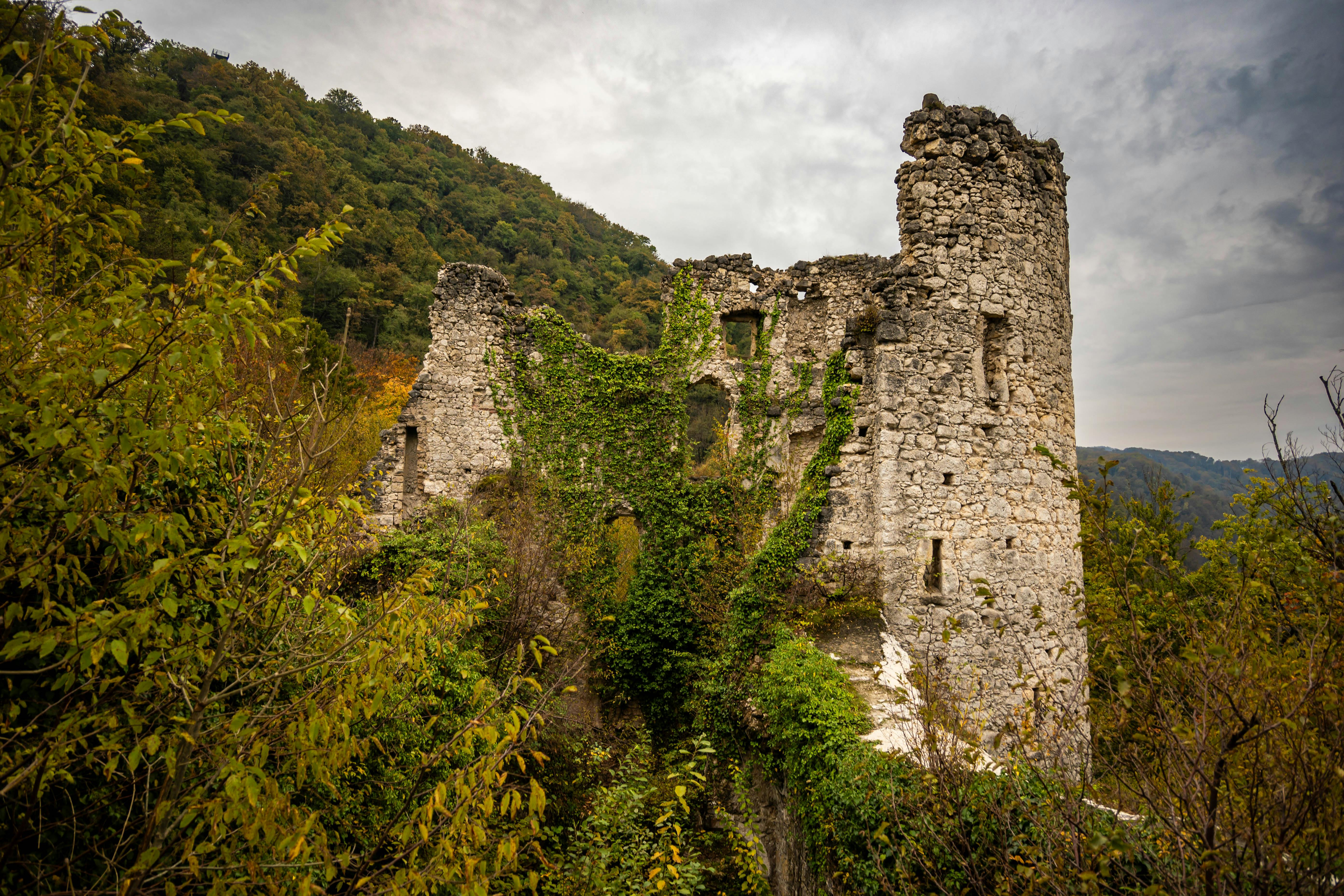 Ruins of Samobor Castle in Lush Croatian Landscape · Free Stock Photo