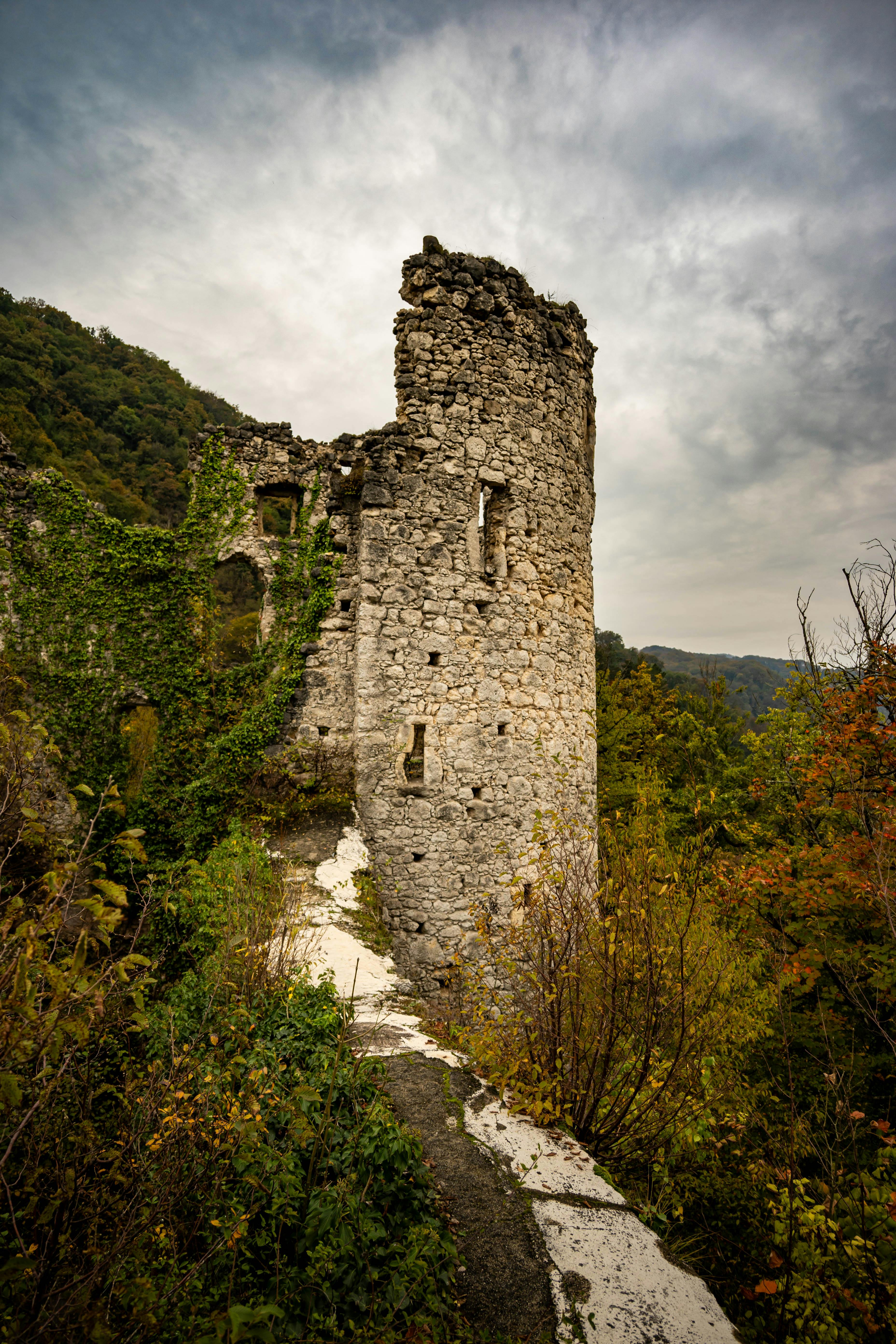 Ancient Stone Tower in Samobor Forest Ruins · Free Stock Photo