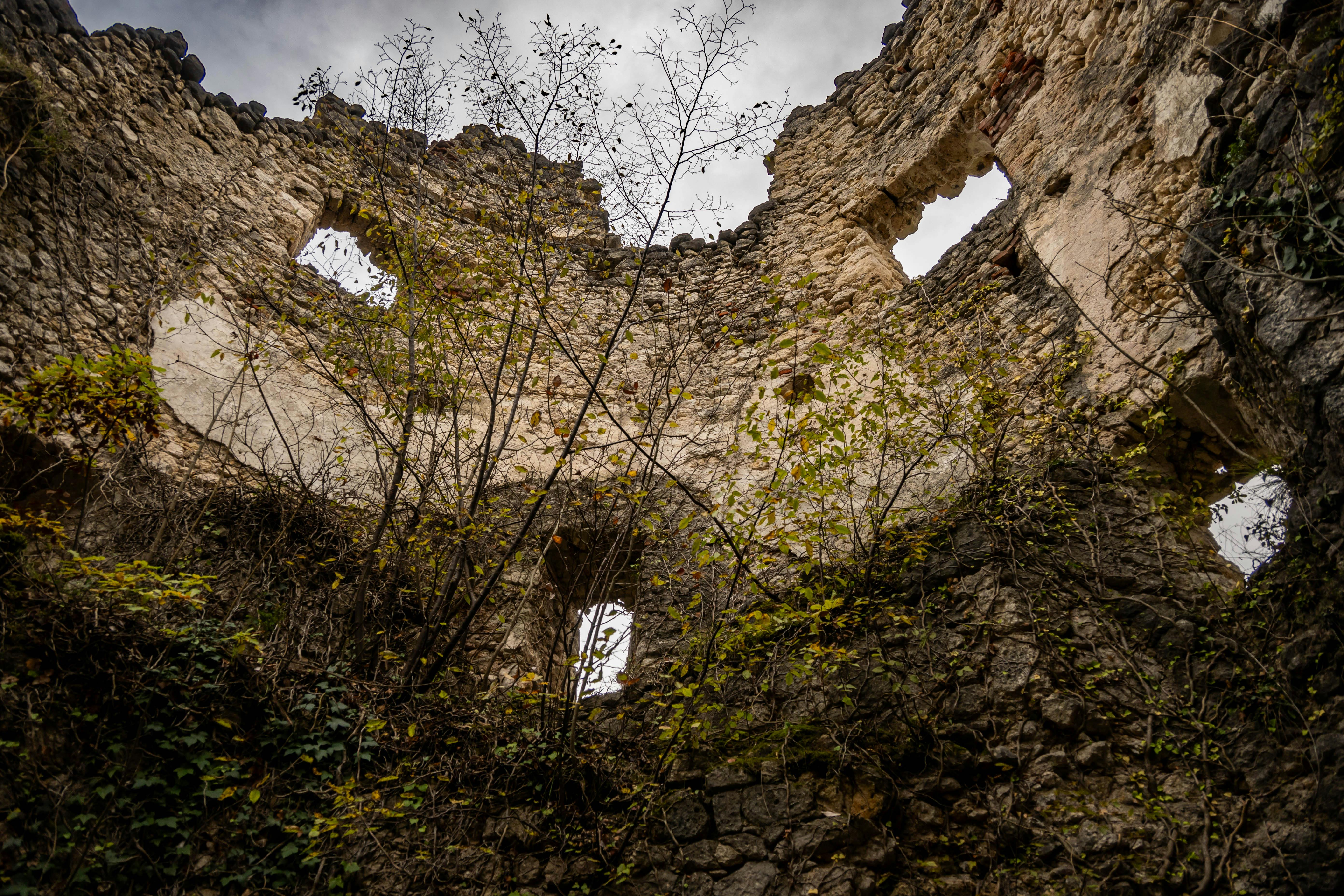 Ancient Ruins in Samobor's Forest Setting · Free Stock Photo
