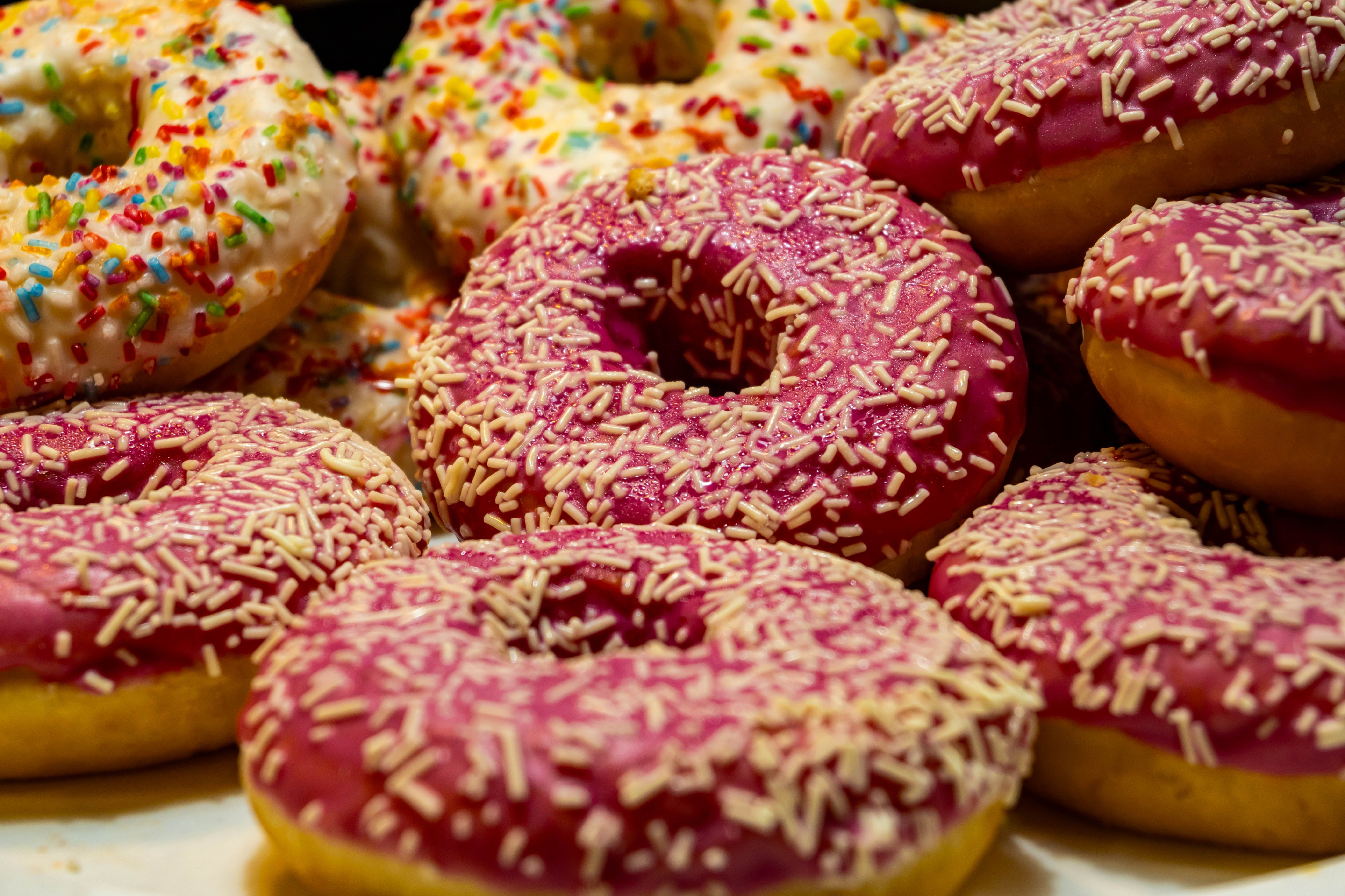 Colorful Assorted Donuts with Sprinkles · Free Stock Photo