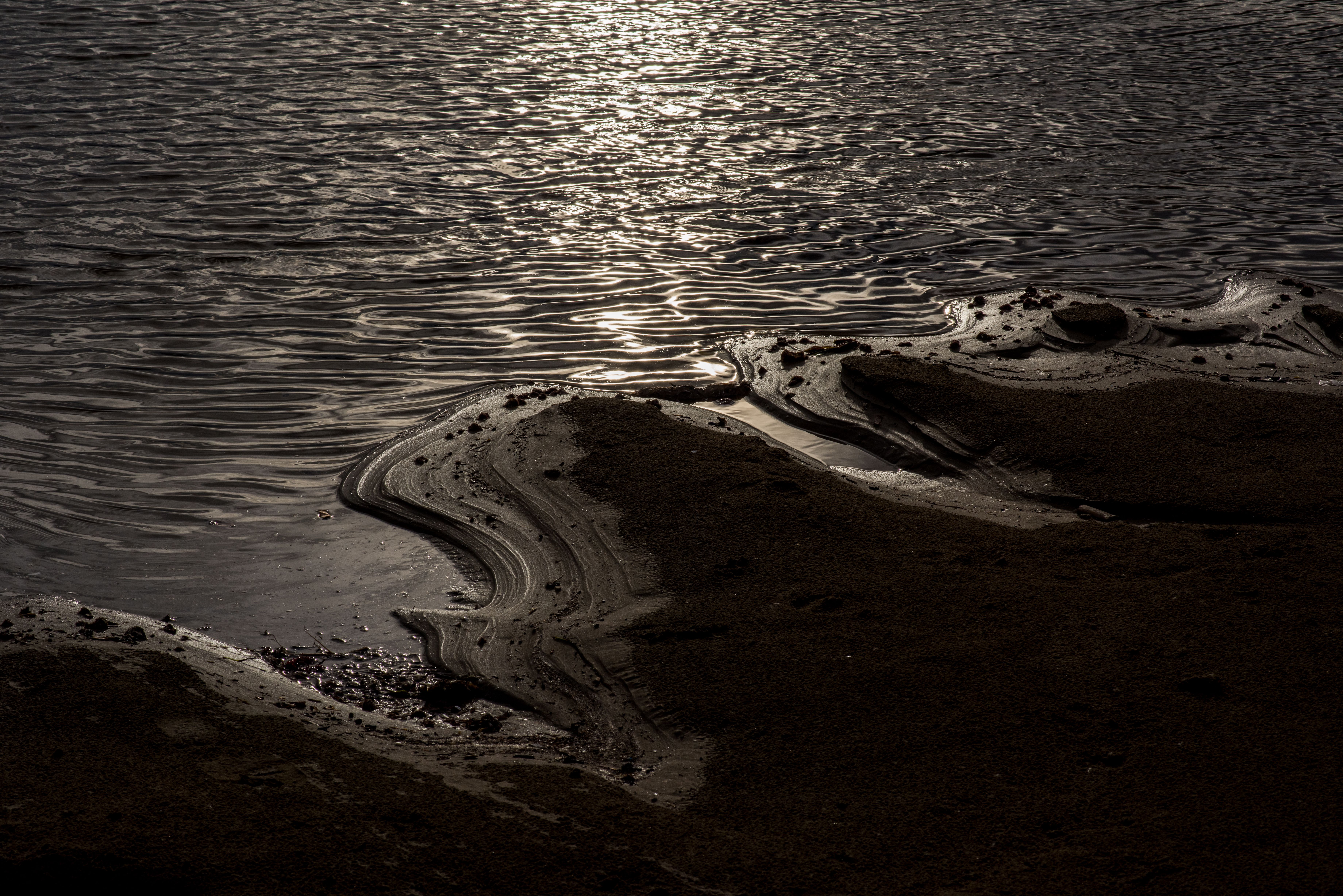 Sunset Reflections on a Sandy Shoreline · Free Stock Photo