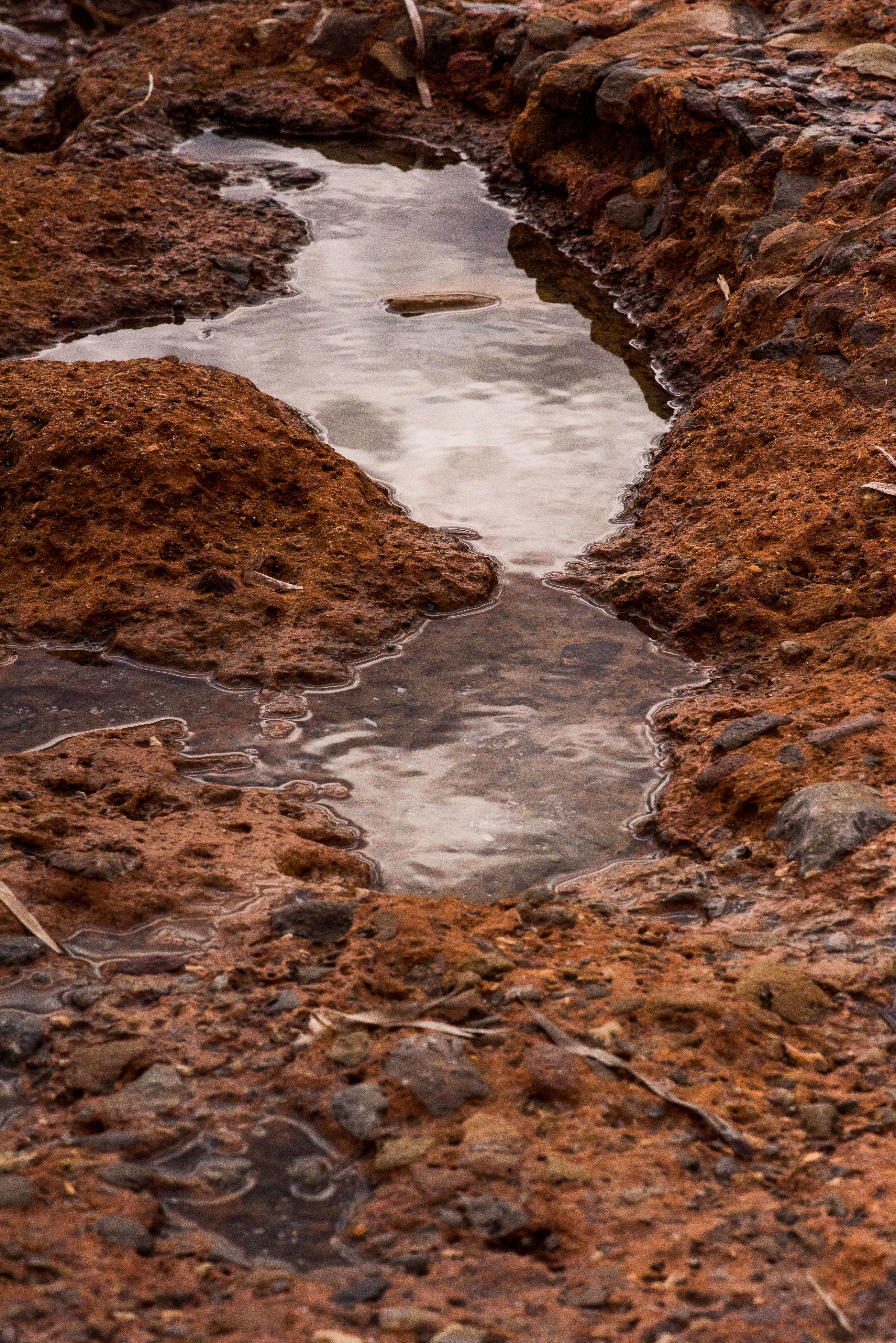 Puddle Clay Photos, Download The BEST Free Puddle Clay Stock Photos ...