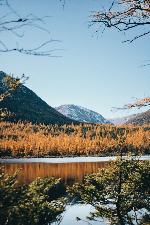 Quebec Nature Photos, Download The BEST Free Quebec Nature Stock Photos ...