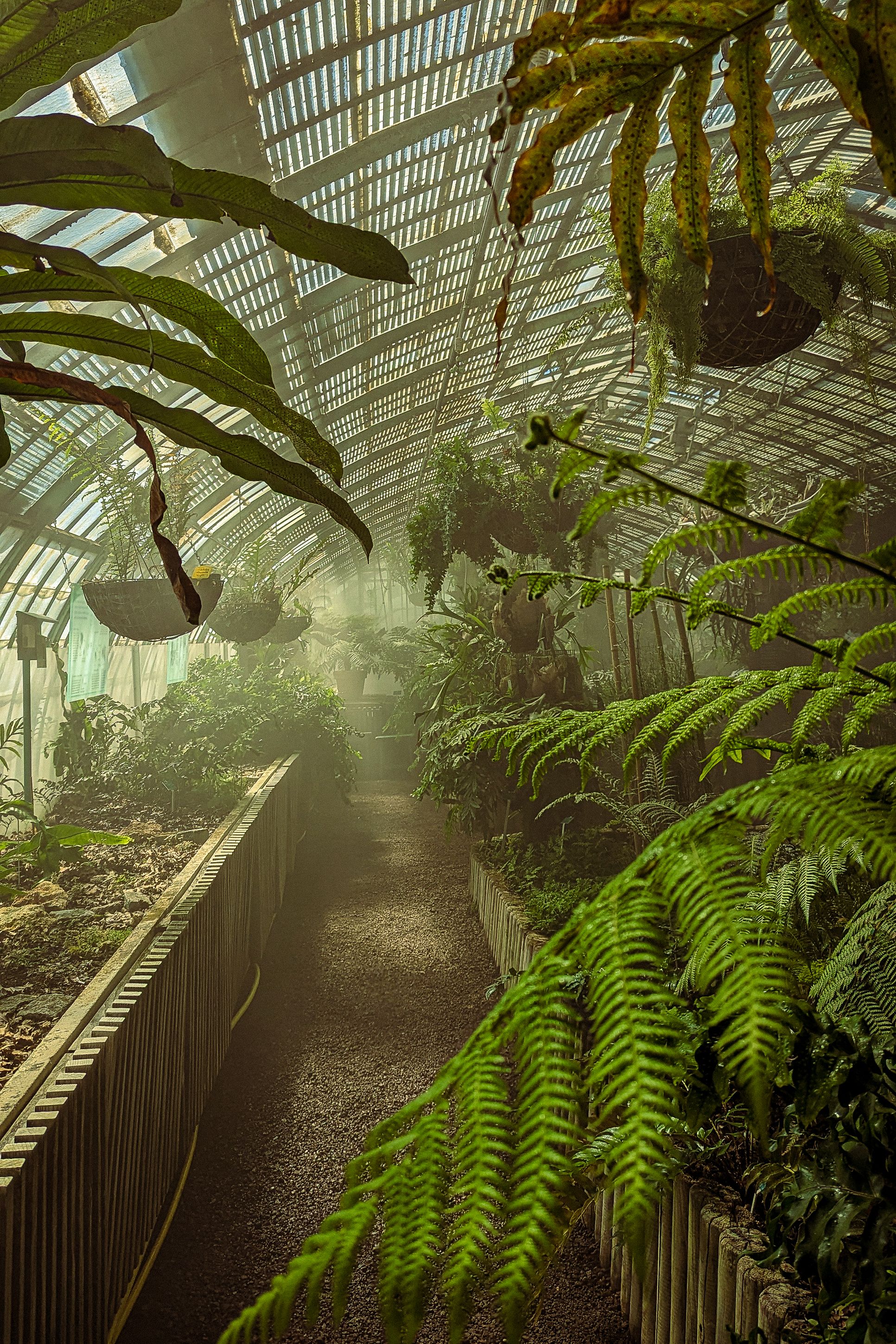 Botanic Gardens Photos, Download The BEST Free Botanic Gardens Stock ...