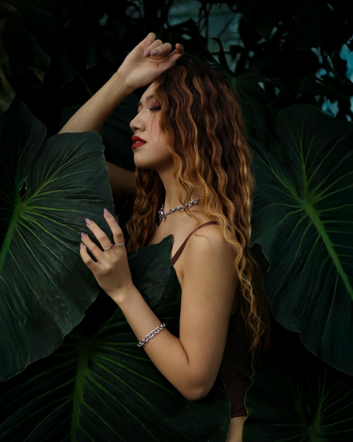 Lush Photos, Download The BEST Free Lush Stock Photos & HD Images