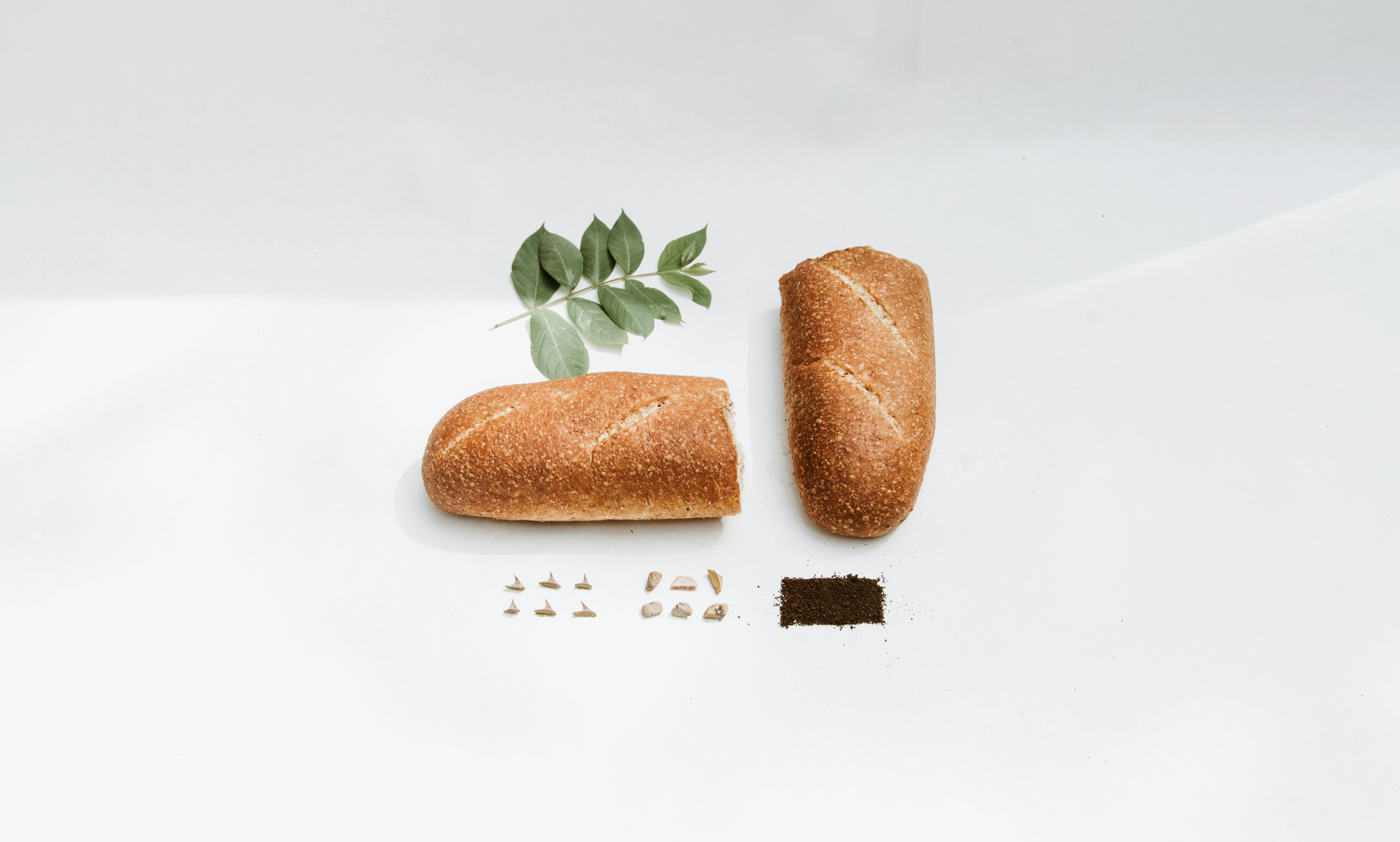 Komposisi Roti Dan Daun Minimalis Pada Latar Belakang Putih · Foto Stok ...