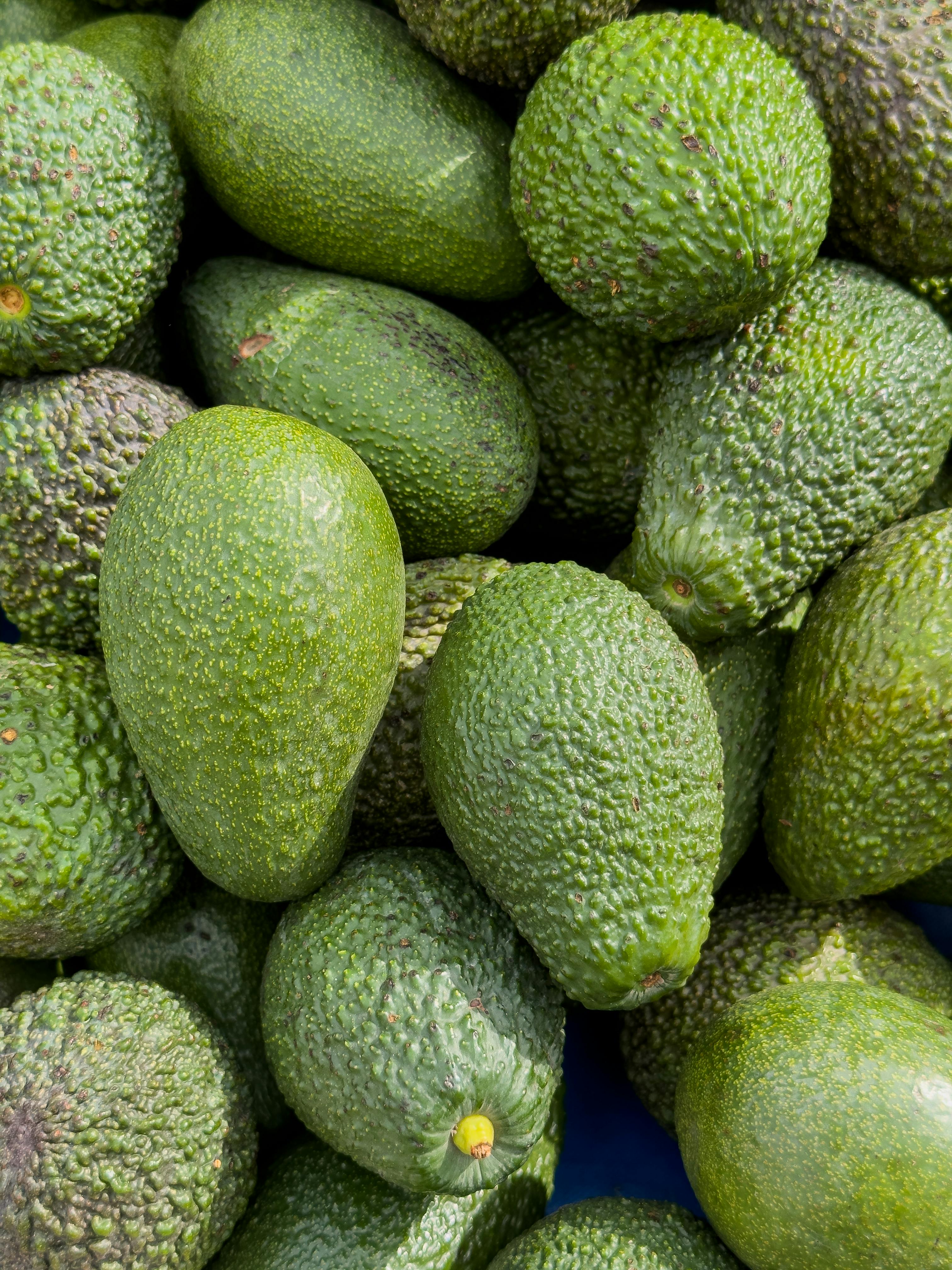 Organic Ripe Avocados Piled Together · Free Stock Photo