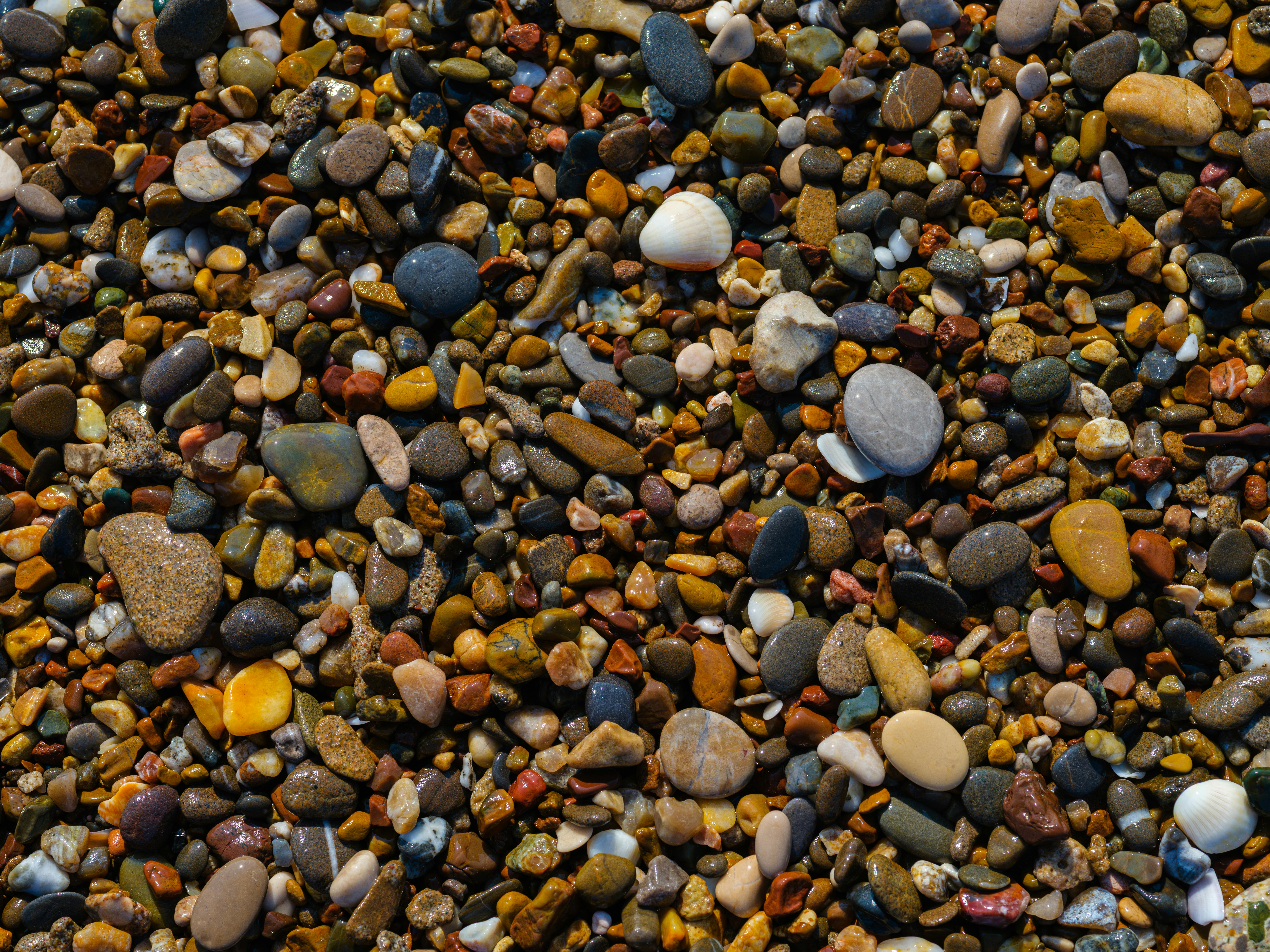 Vibrant Pebble Beach Texture Background · Free Stock Photo