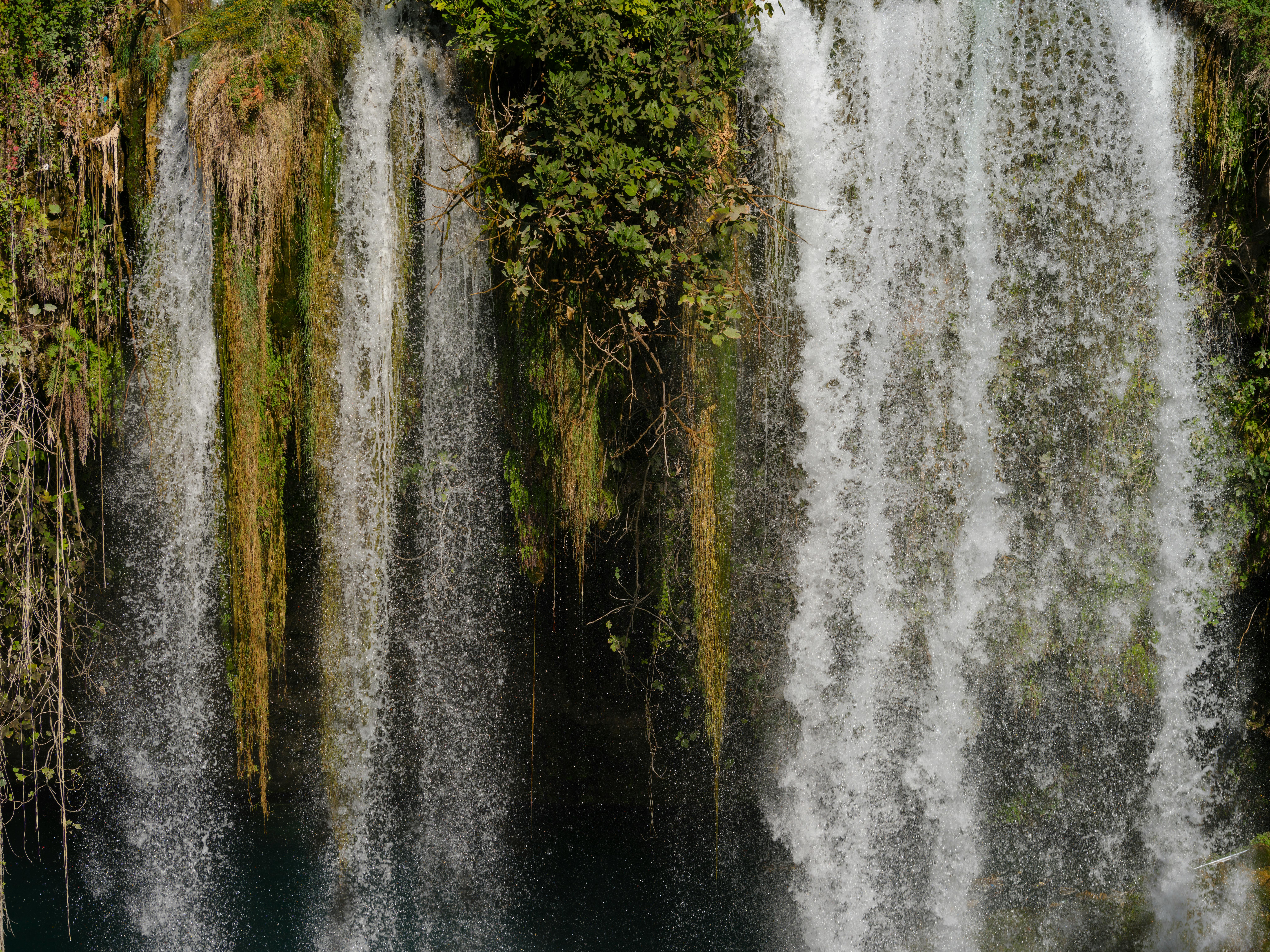 Wet Photography Photos, Download The BEST Free Wet Photography Stock ...