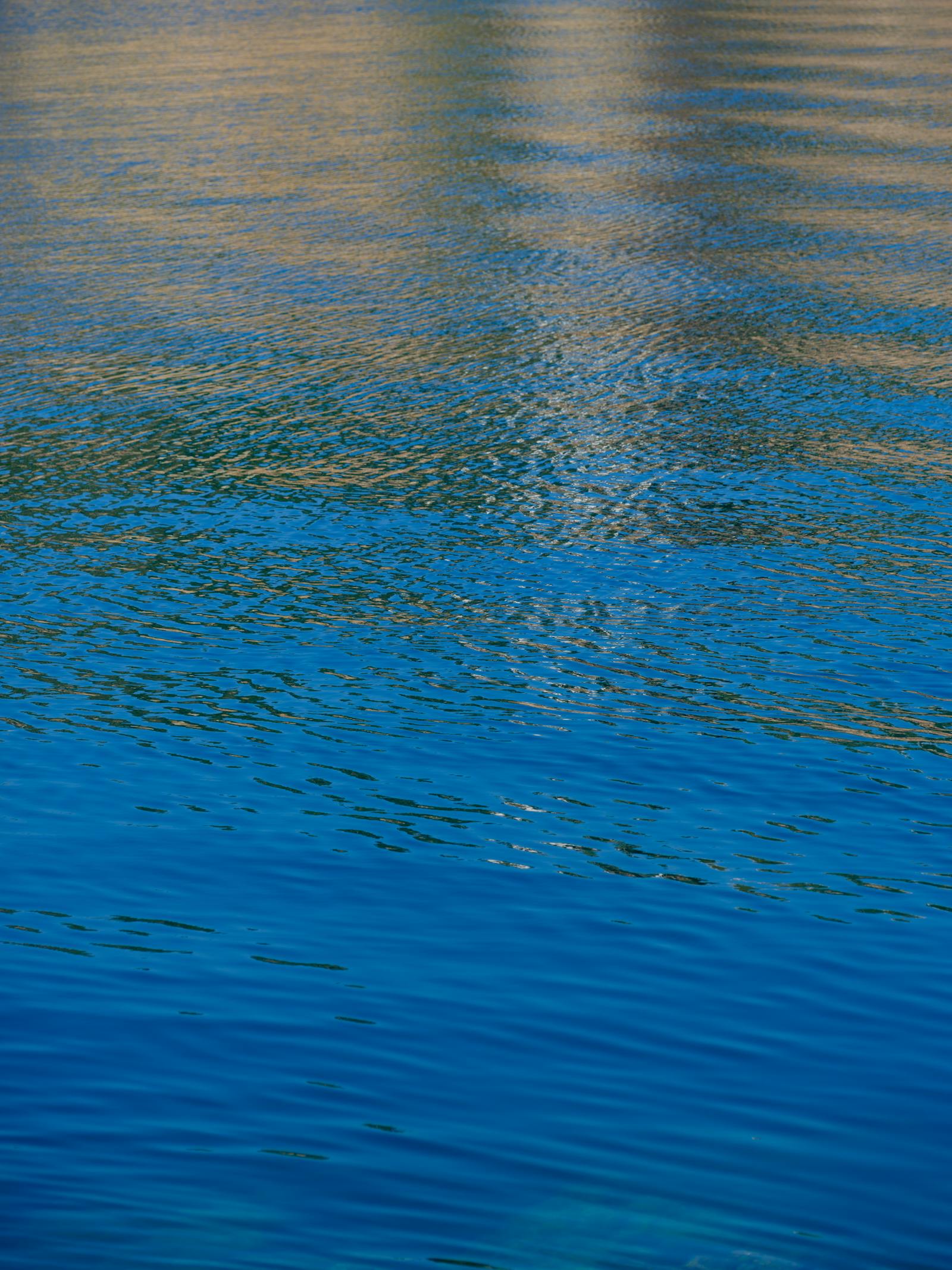 Gentle Photos, Download The BEST Free Gentle Stock Photos & HD Images