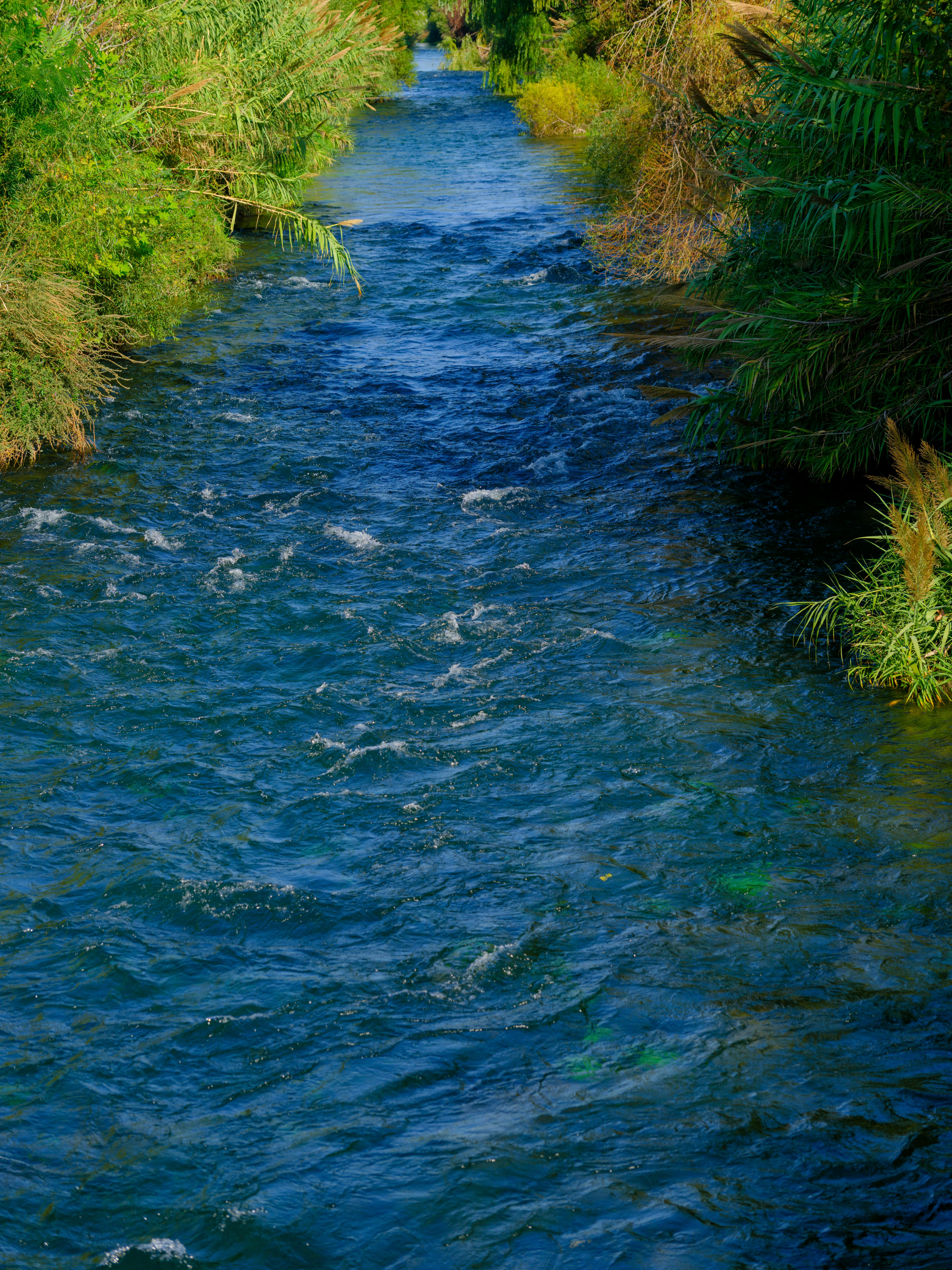 1,000+ Best Brook Photos · 100% Free Download · Pexels Stock Photos