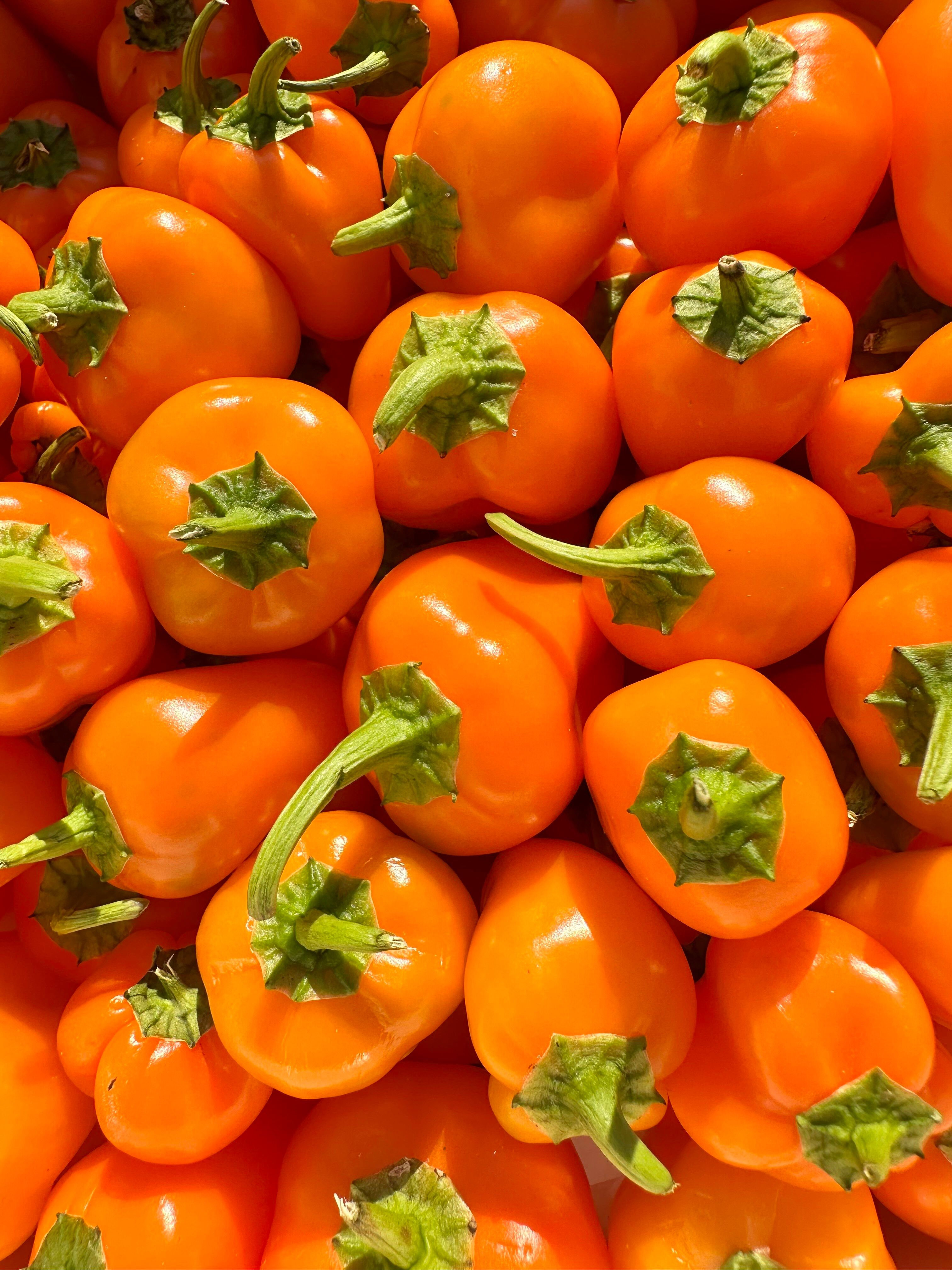 Three Yellow, Red and Orange Bell Peppers on Brown Surface · Free Stock ...