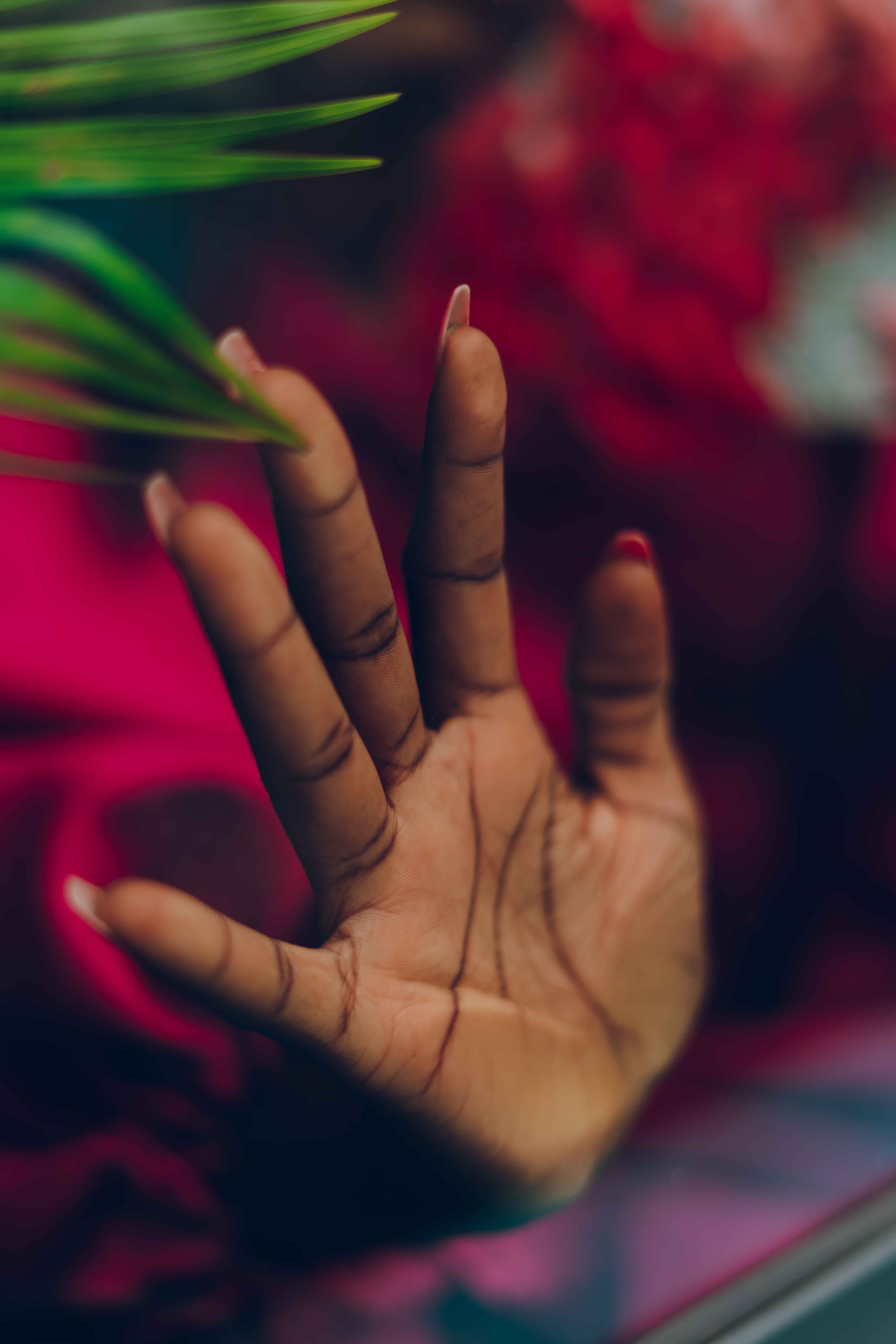 Artistic Portrait of a Hand with Vibrant Colors · Free Stock Photo