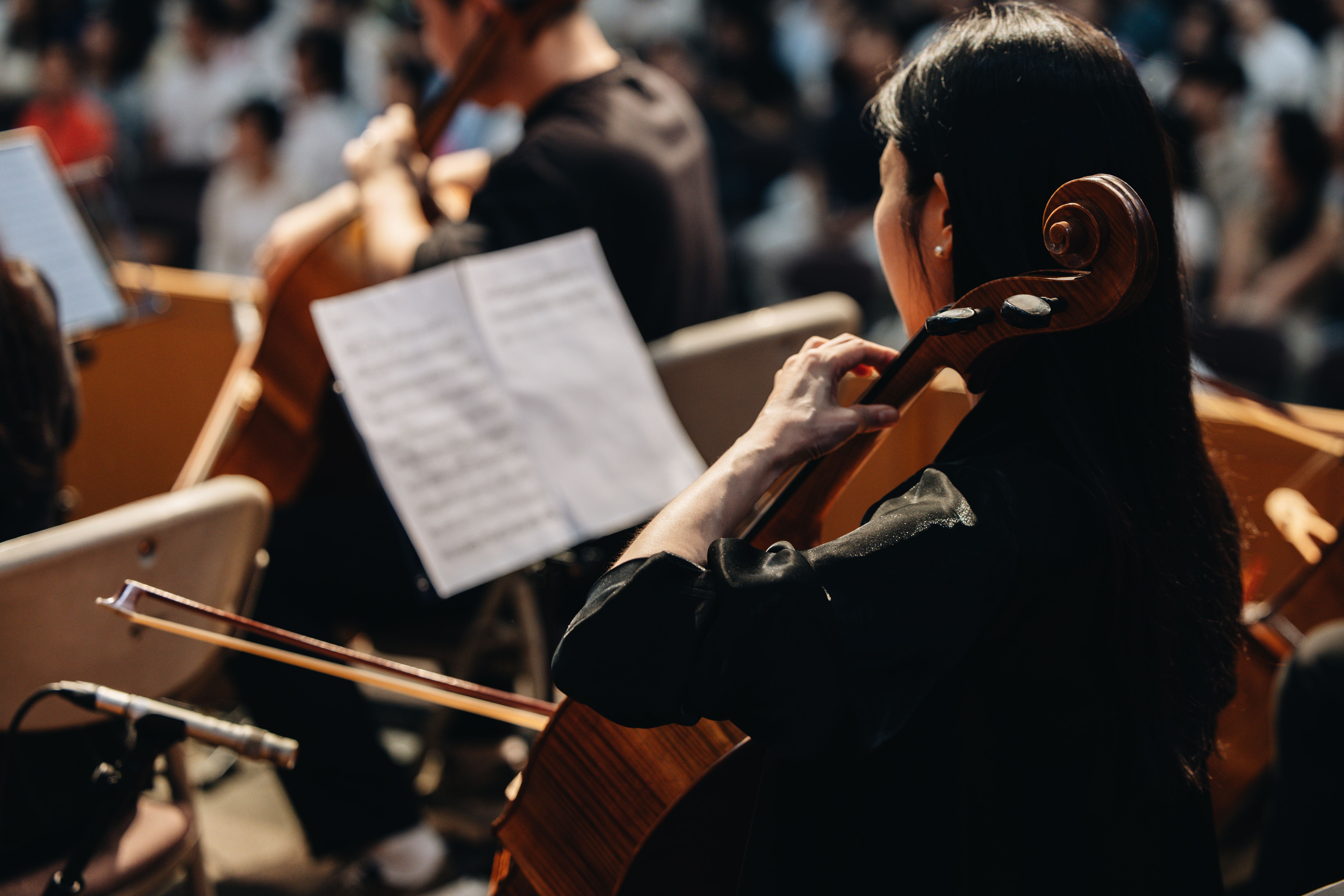 Cellist Performing at a Live Orchestra Concert · Free Stock Photo