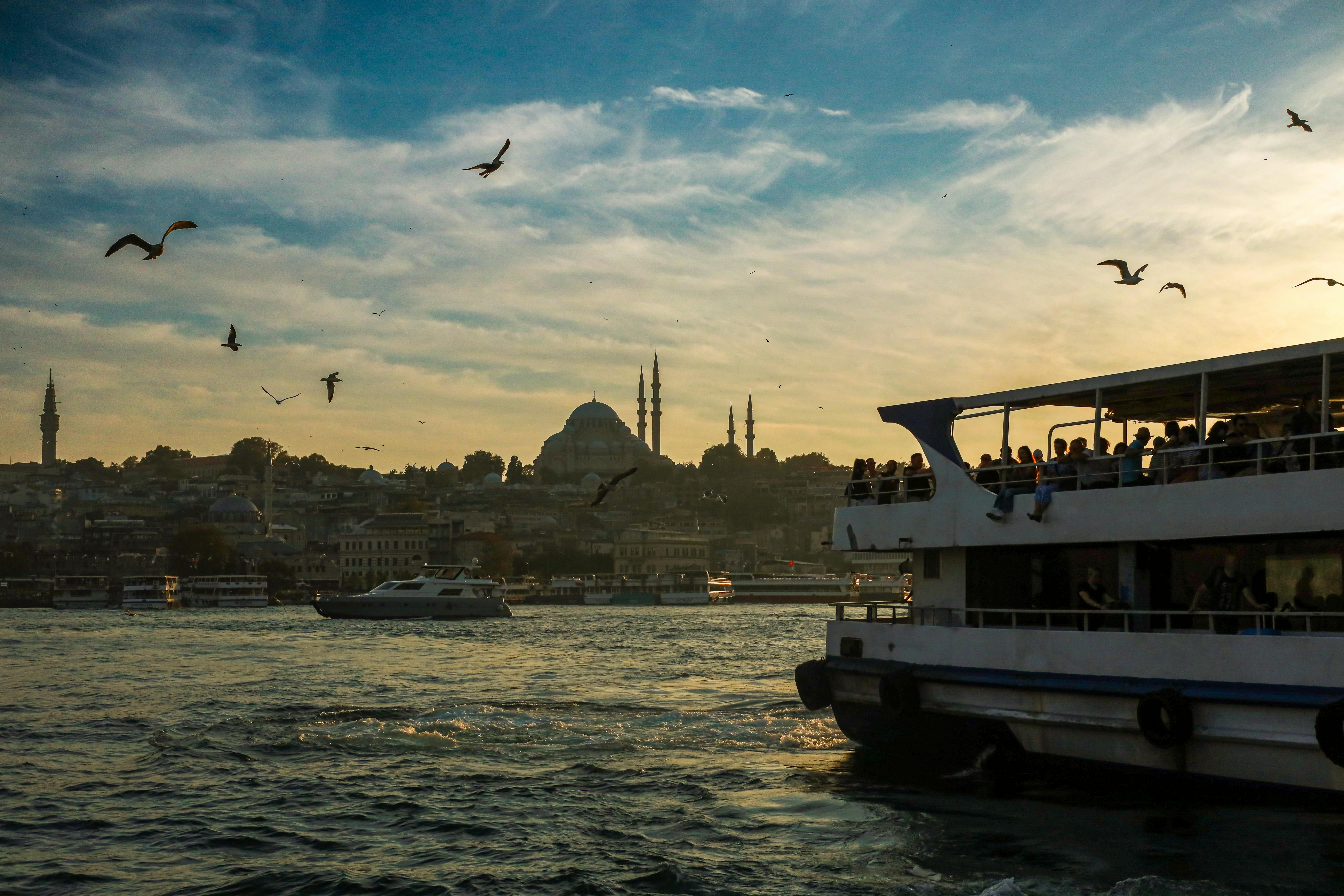 Scenic Bosphorus View with Ferry and Birds at Sunset · Free Stock Photo