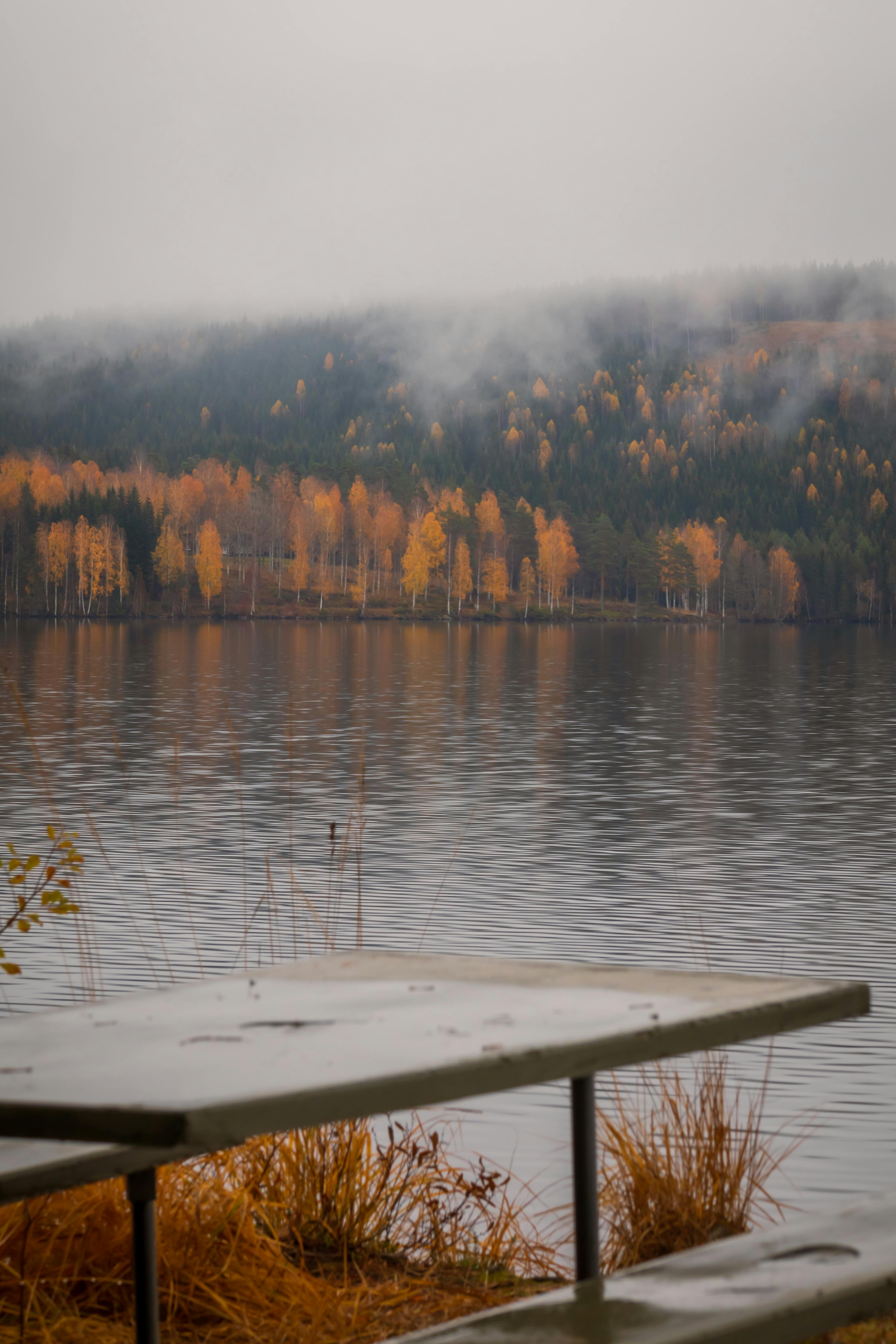 Restful Waterfront Photos, Download The BEST Free Restful Waterfront ...