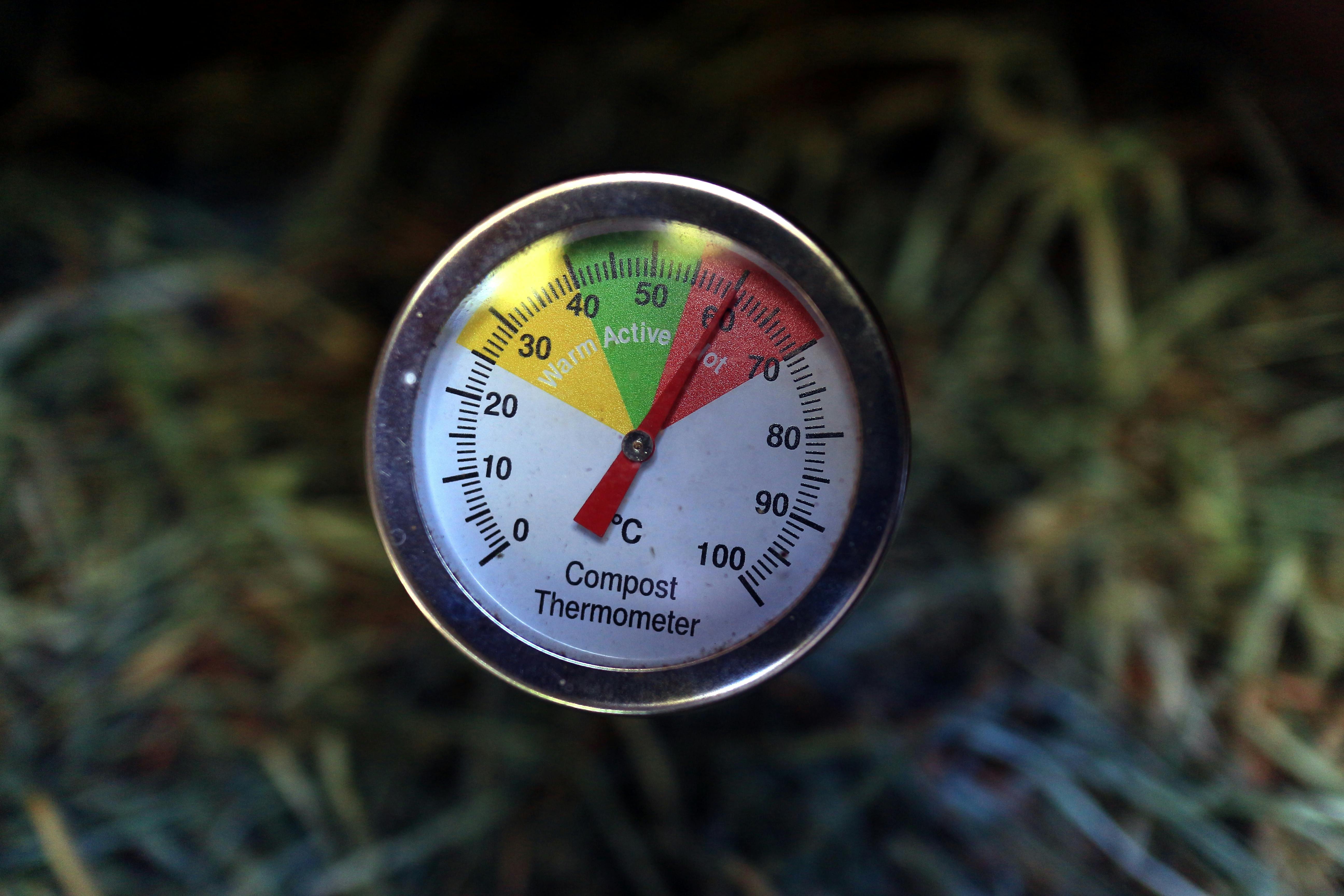 Close-up of Compost Thermometer in Action · Free Stock Photo