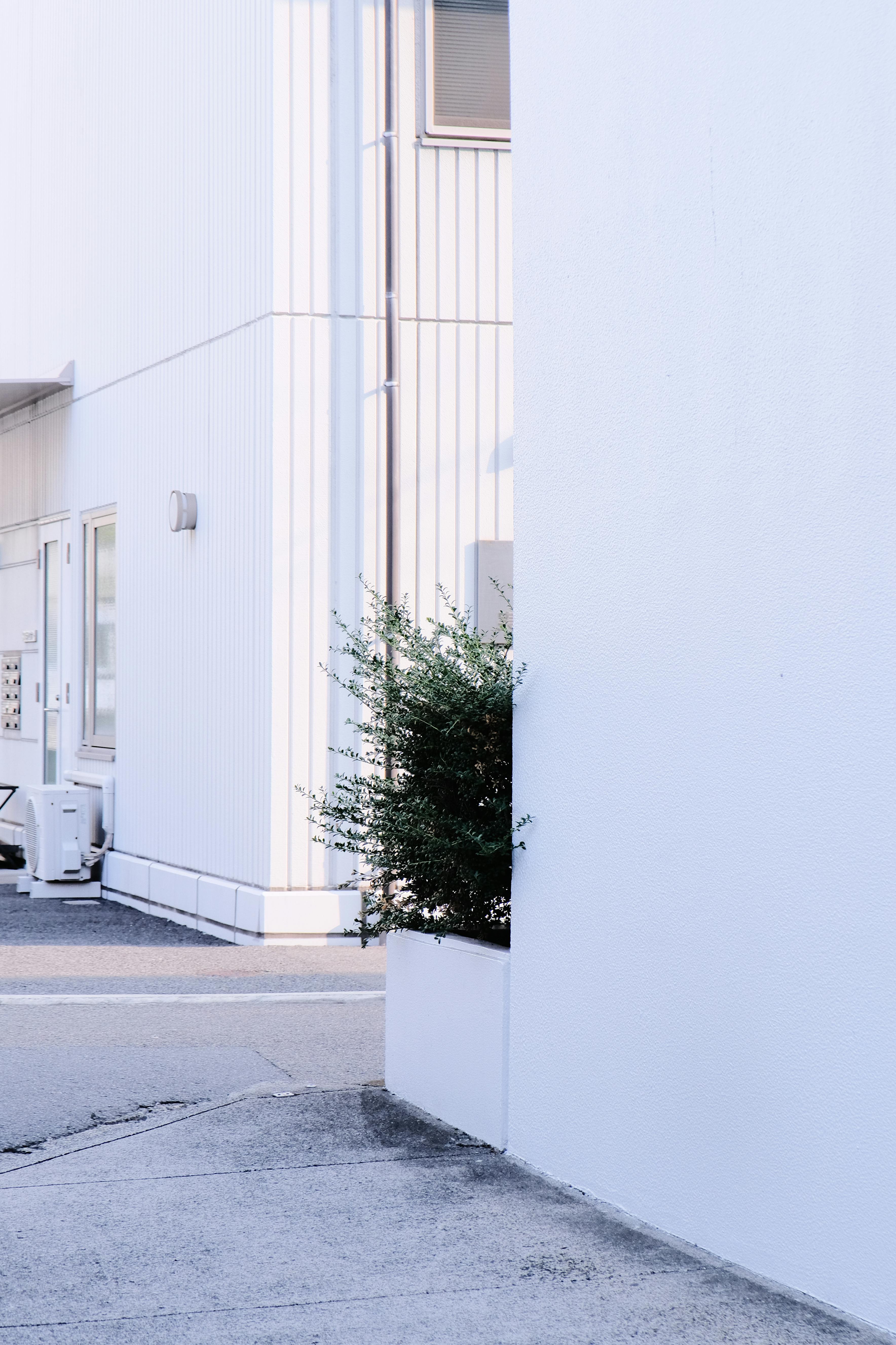 Minimalist Urban Architecture with Subtle Greenery · Free Stock Photo