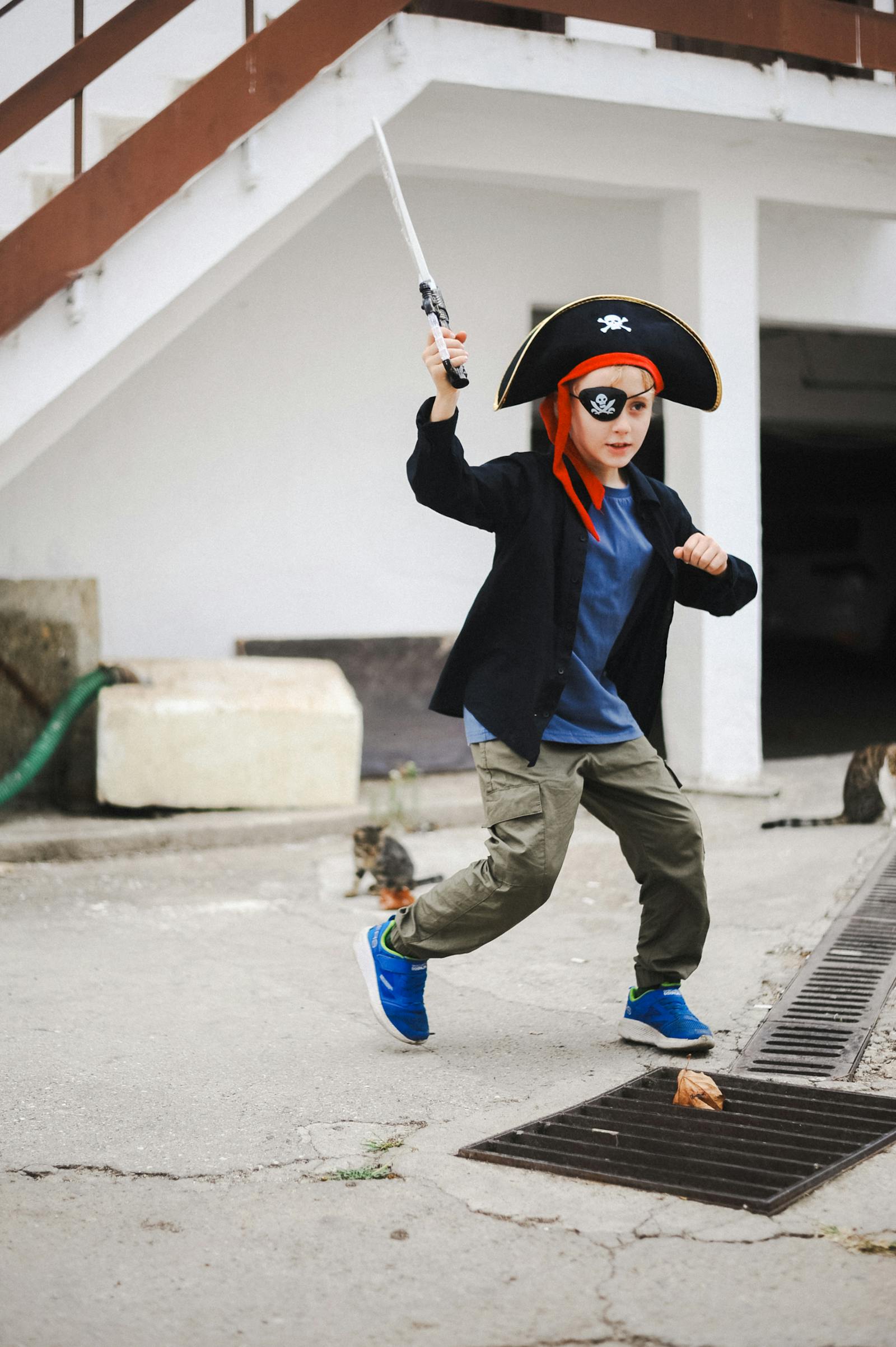 Pirate Photos, Download The BEST Free Pirate Stock Photos & HD Images