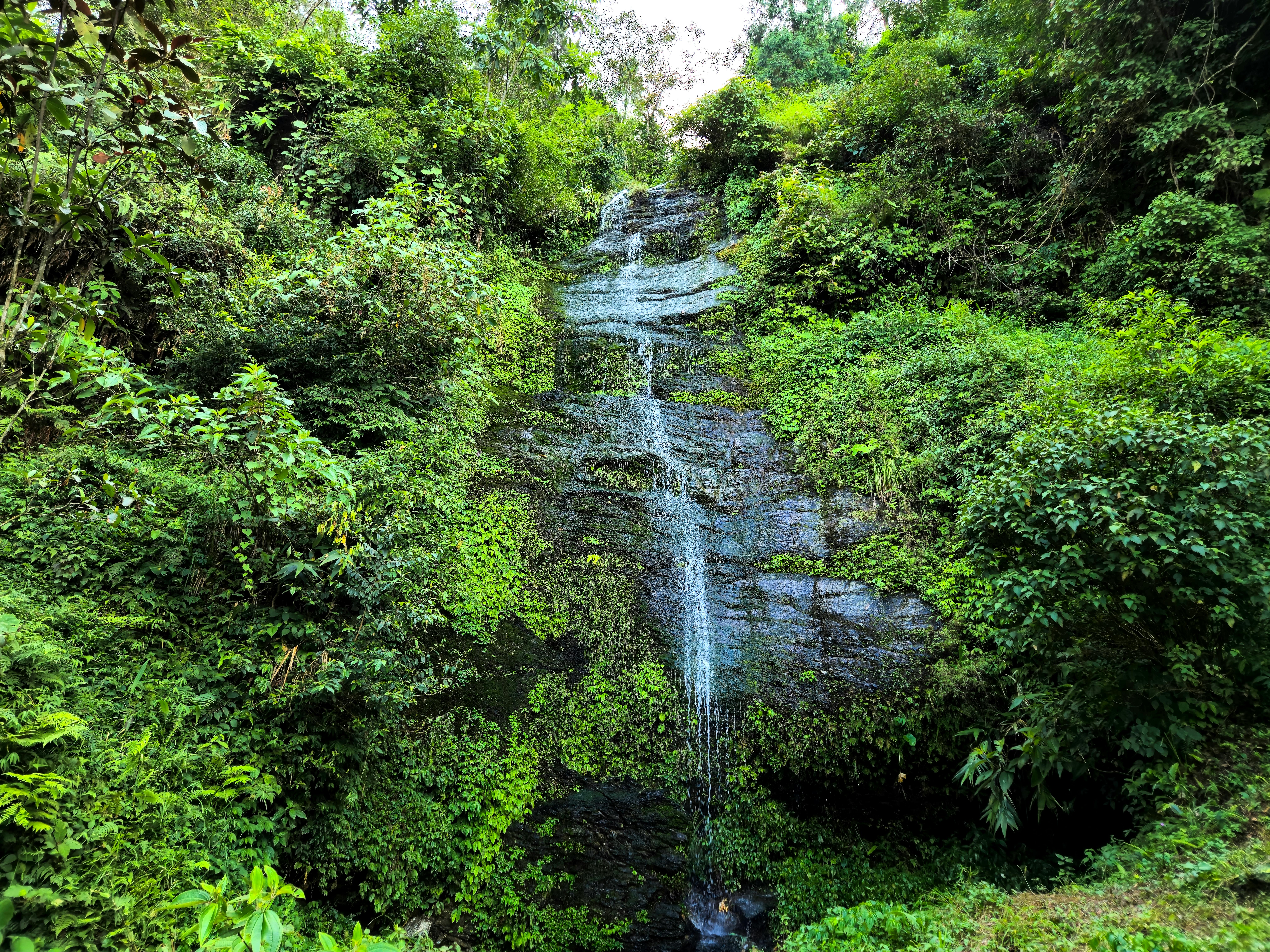 Air Terjun Yang Tenang Di Hutan Yang Rimbun · Foto Stok Gratis