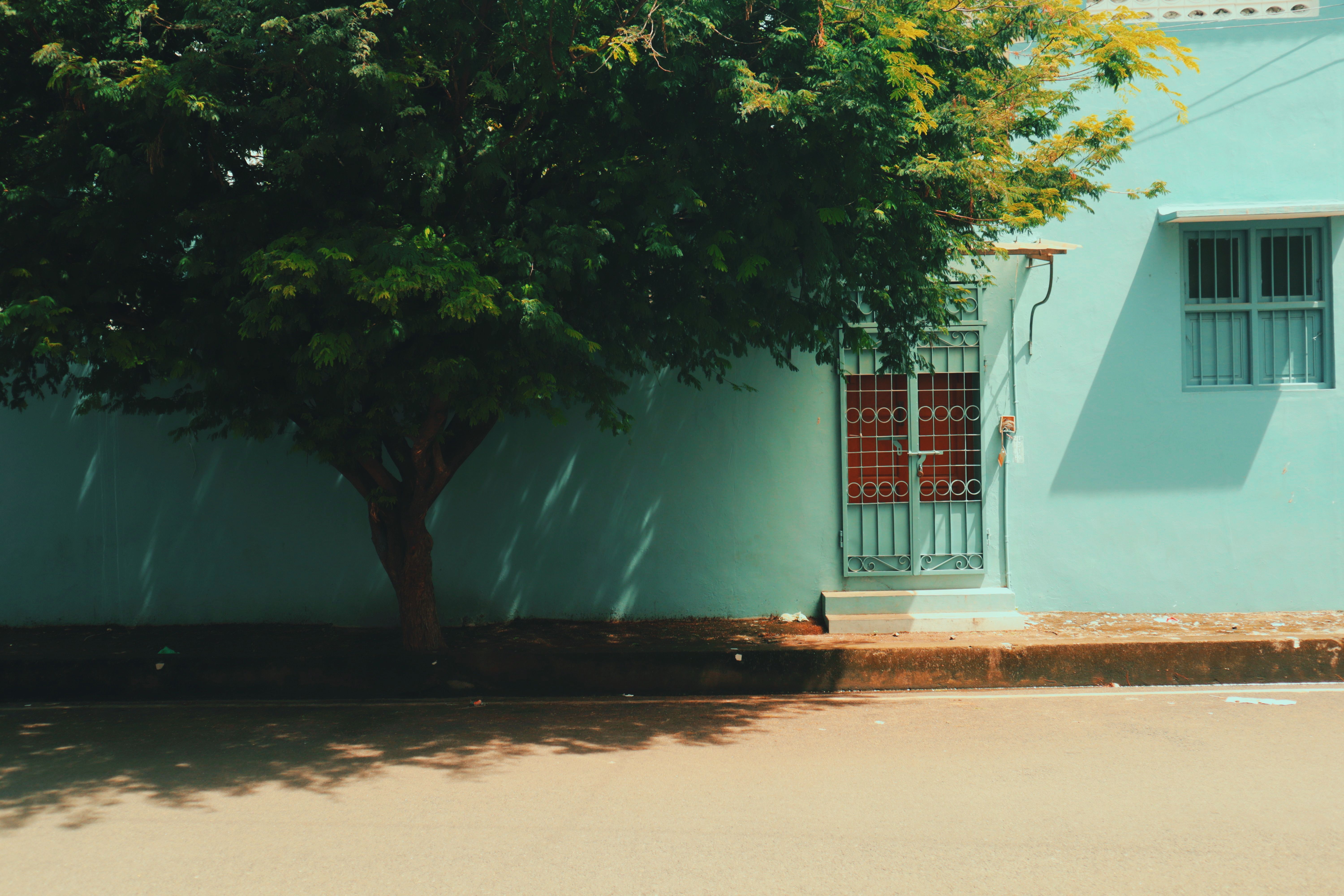 Colorful Urban Street with Shaded Tree · Free Stock Photo