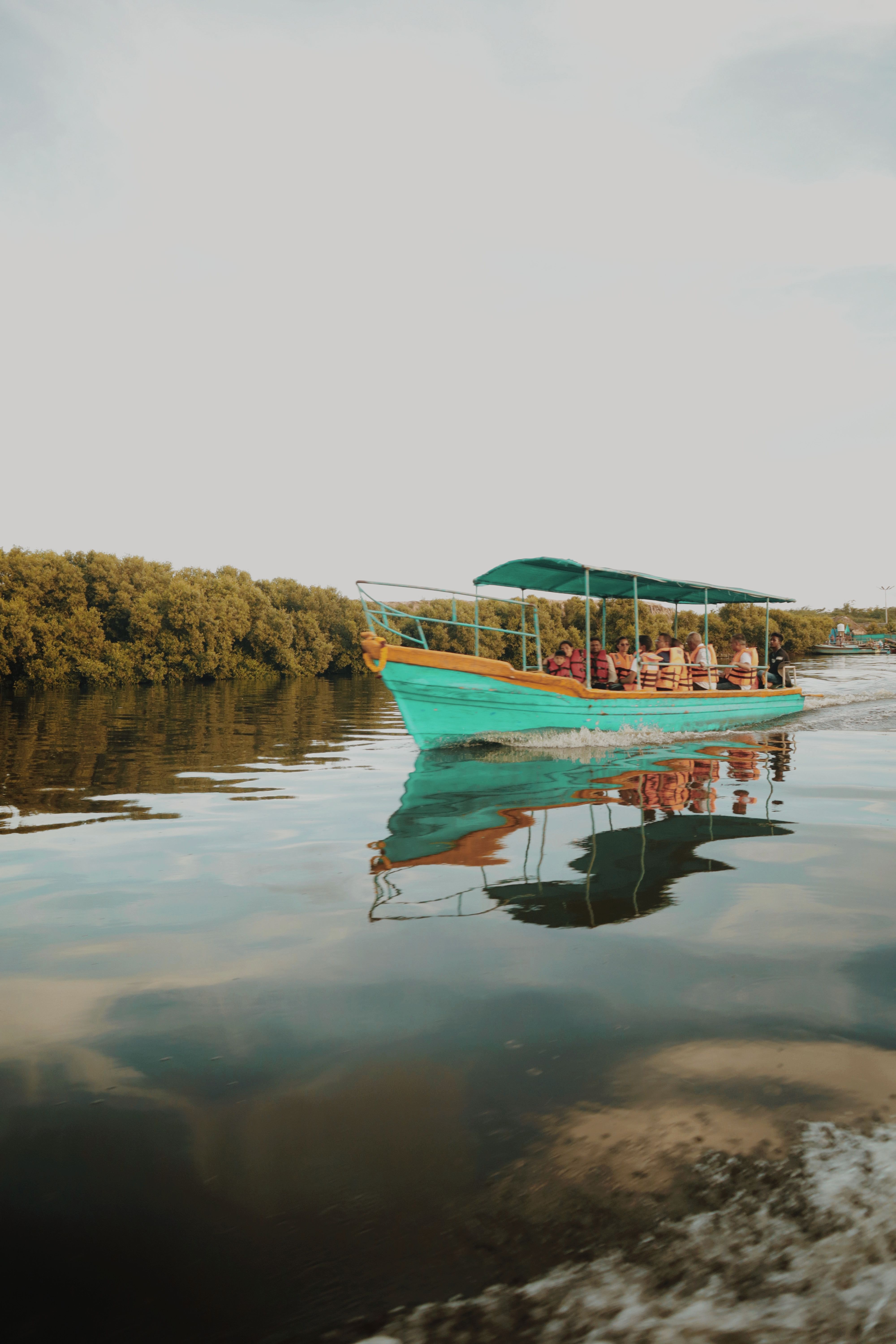 Naik Perahu Yang Tenang Melintasi Perairan Mangrove · Foto Stok Gratis