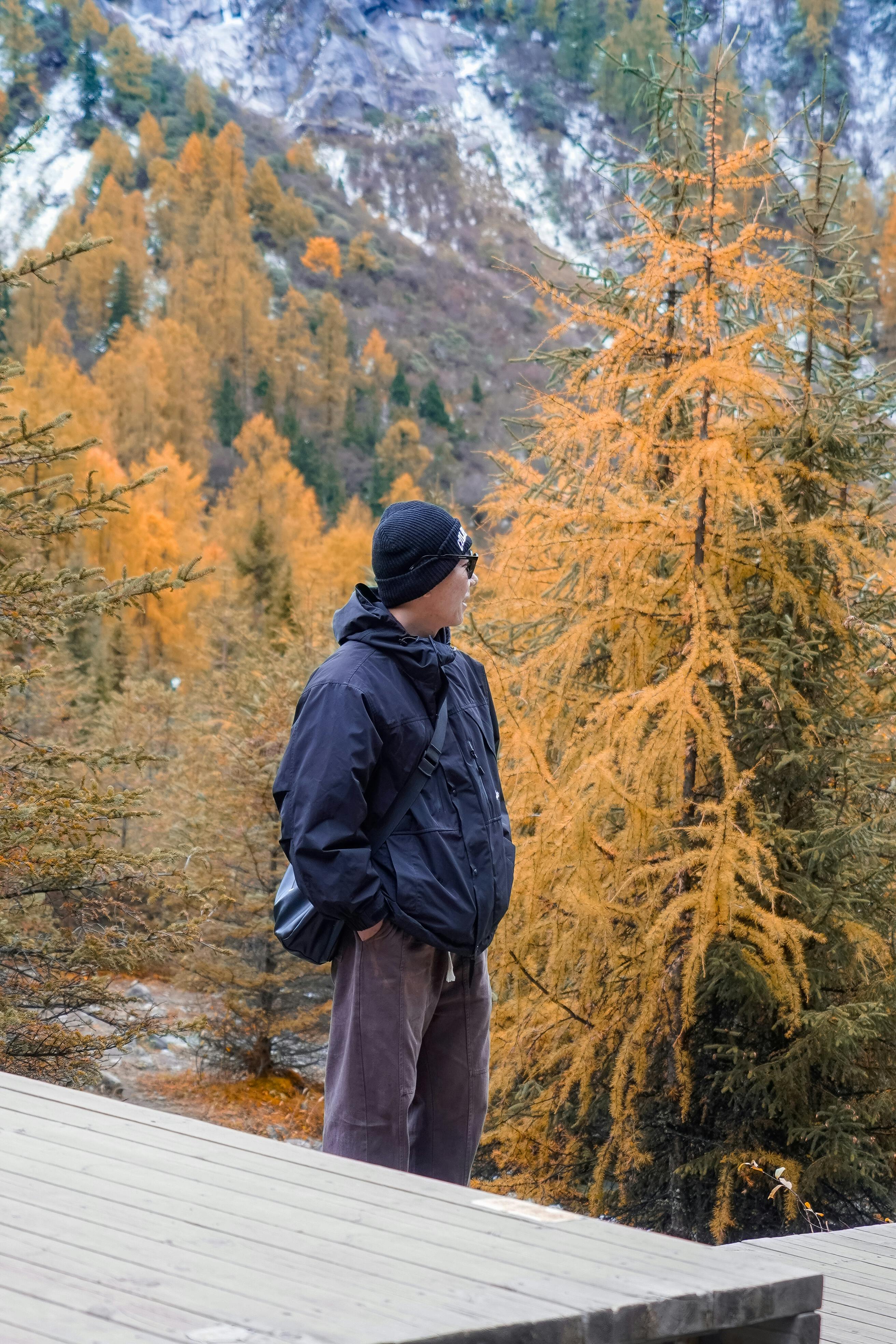 Man in Autumn Forest Contemplating Nature · Free Stock Photo