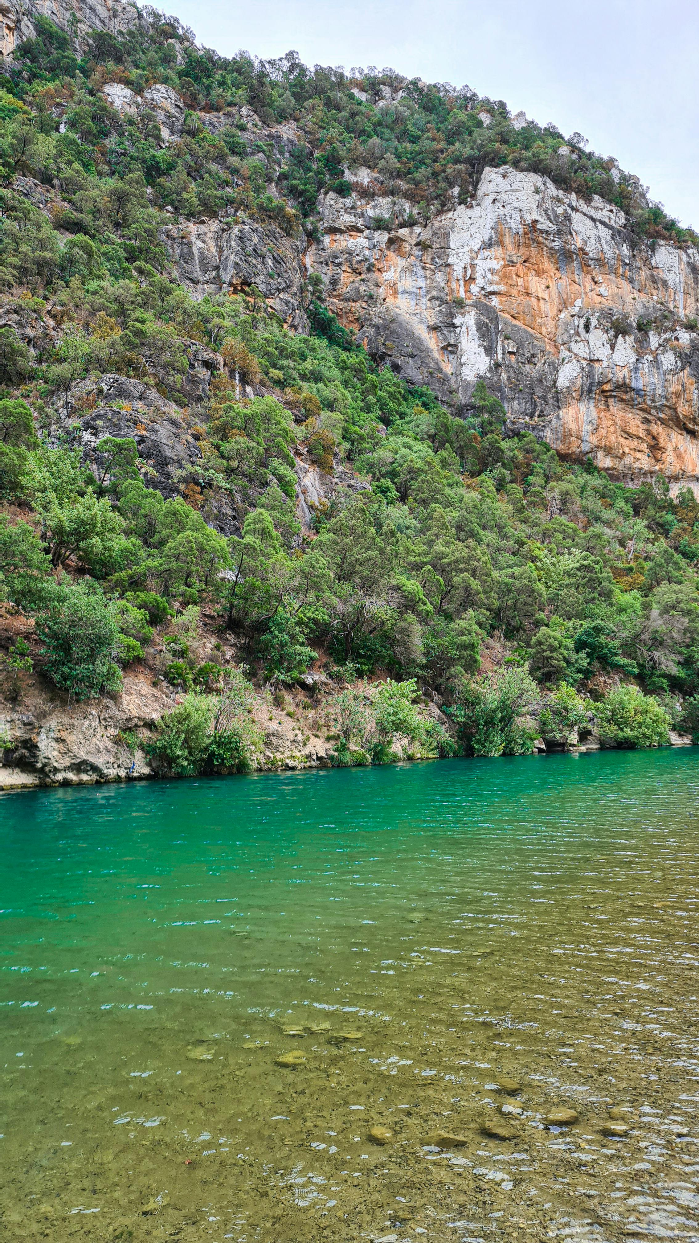 Vibrant River and Lush Cliffs in Morocco · Free Stock Photo